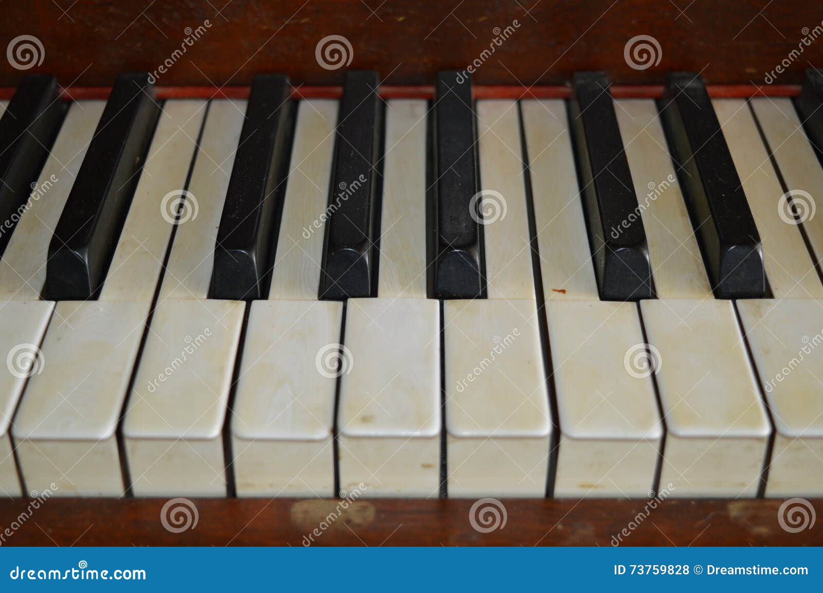 Piano keys stock photo. Image of music, piano, white - 73759828