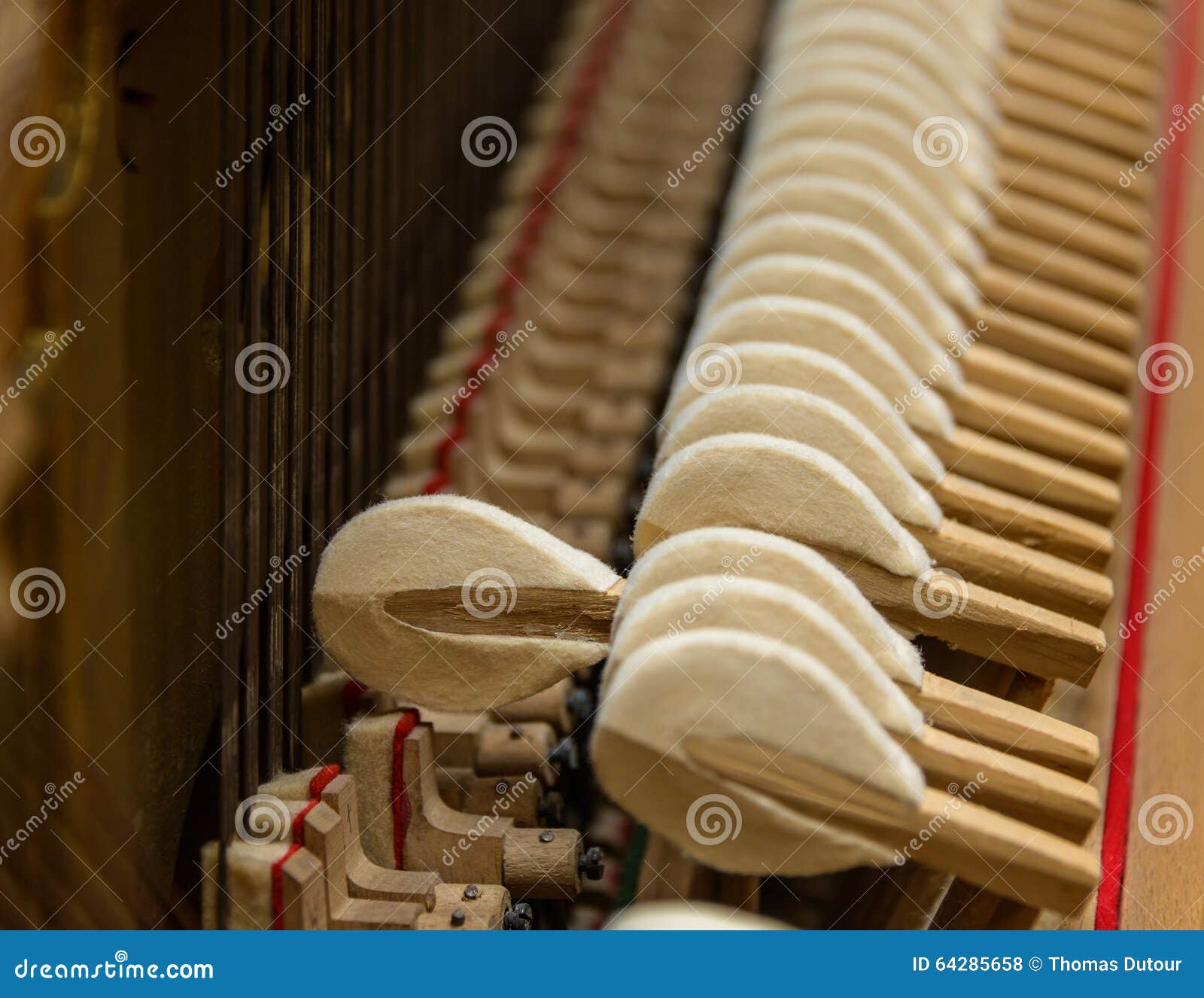 Piano mechanism stock photo. Image of musician, chord - 64285658