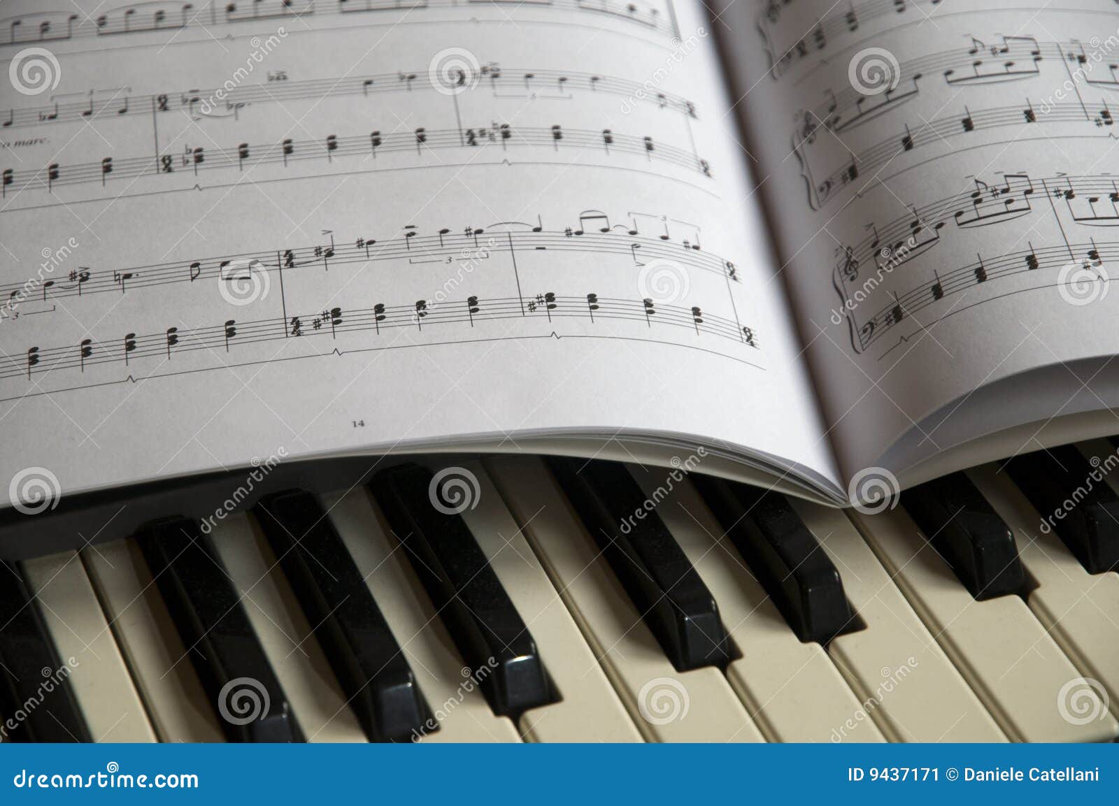 360 Partition Arrangement Photos - Free & Royalty-Free Stock Photos ...