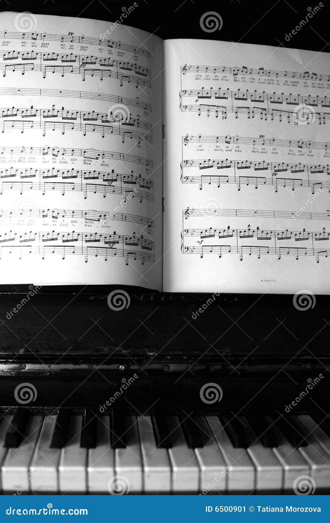 Piano and old notes stock image. Image of blank, harmony - 6500901