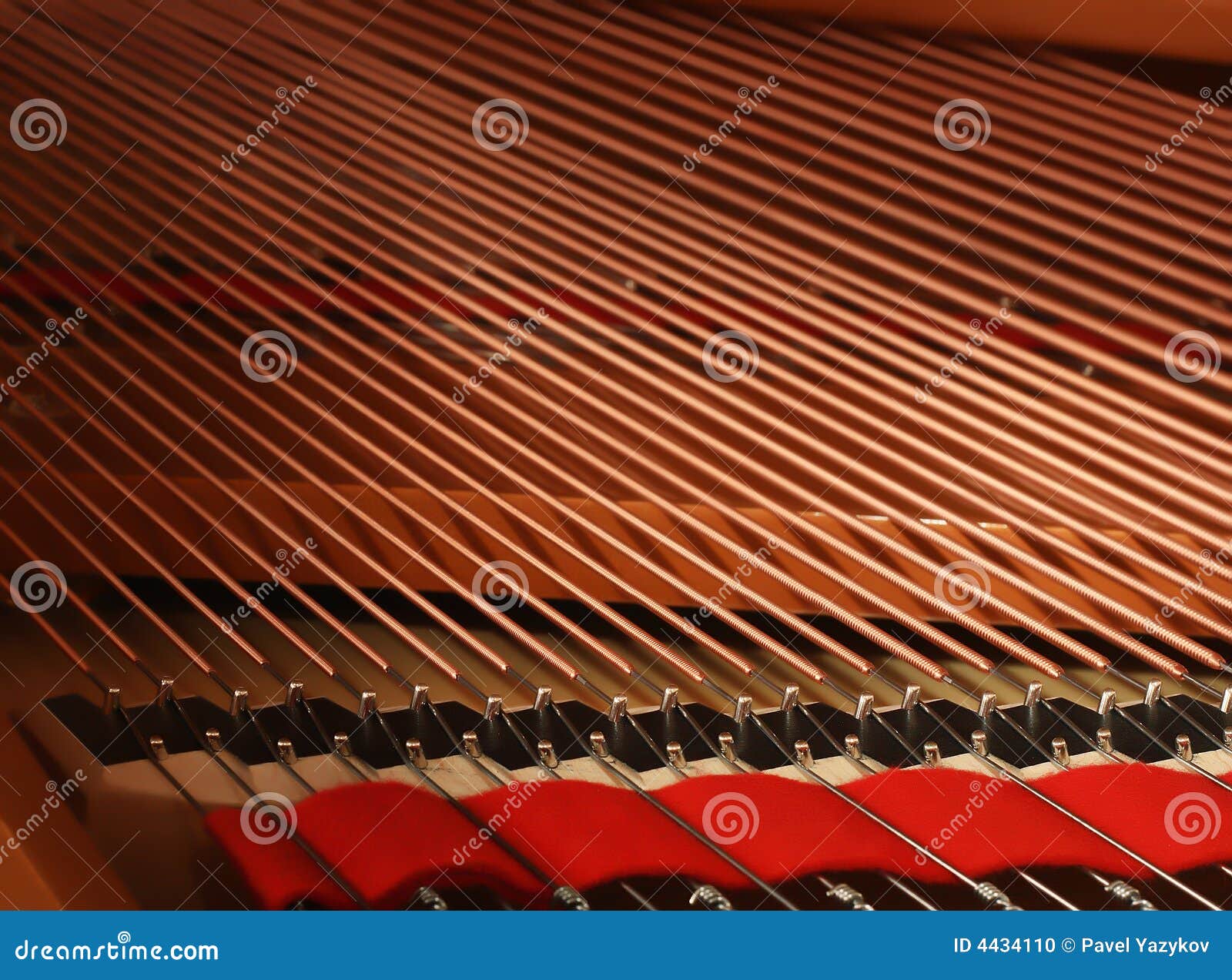 Piano strings stock photo. Image of classic, white, grand - 4434110