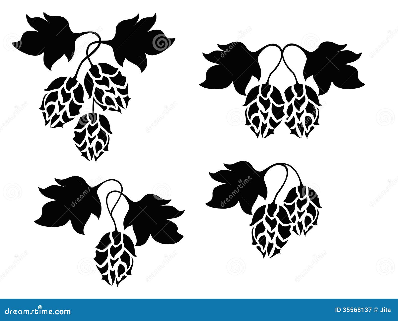 Pianta di luppolo illustrazione vettoriale. Illustrazione di autunno ...