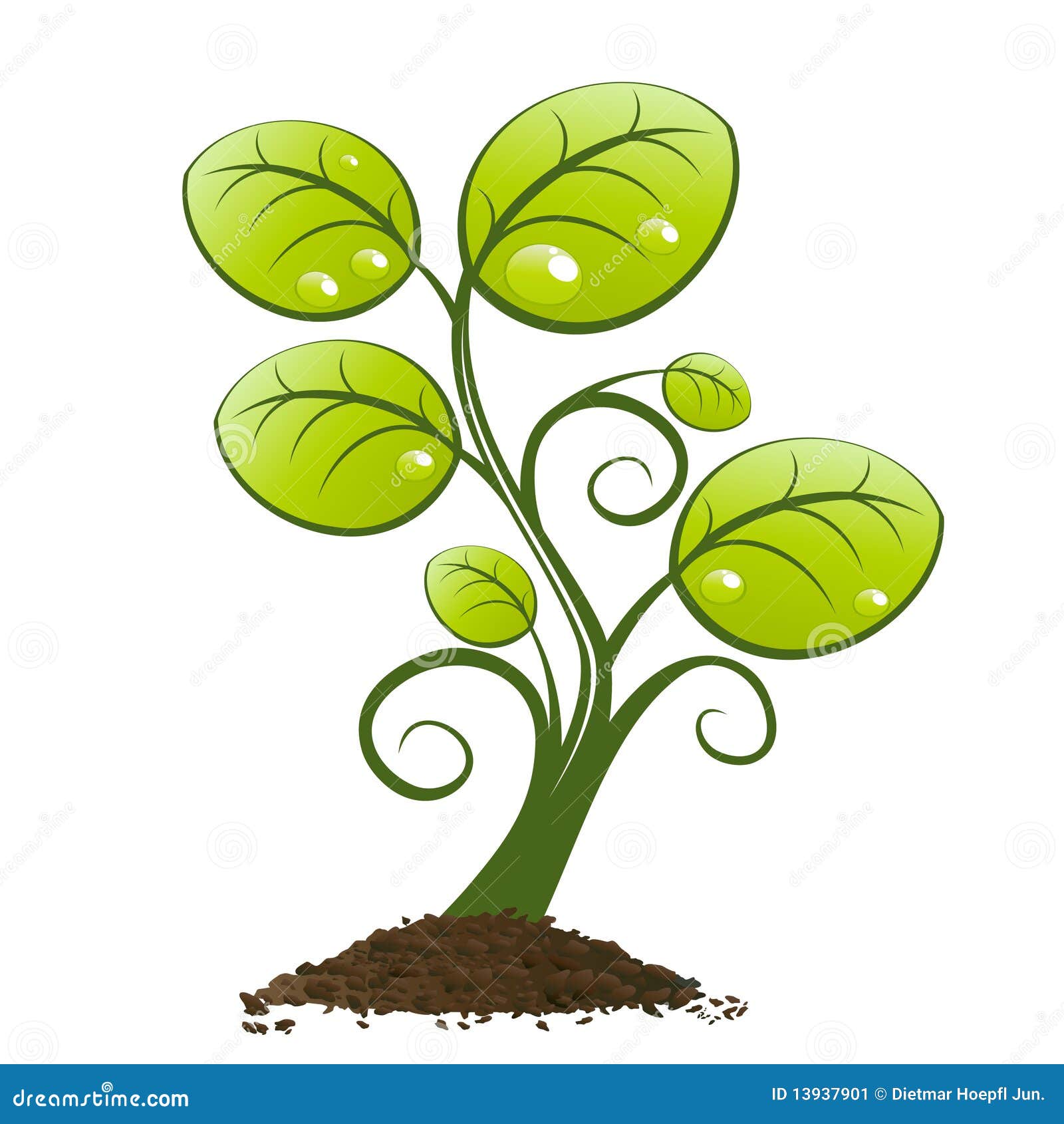 Pianta Verde Che Cresce Dal Terreno Illustrazione Vettoriale ...