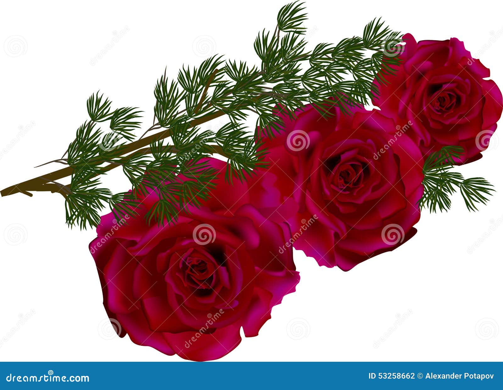 Pianta Verde E Tre Rose Rosse Su Bianco Illustrazione Vettoriale ...