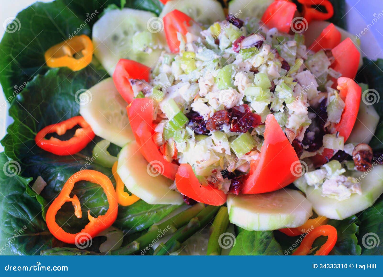 Piatto Di Insalata Squisito Del Pollo. Fotografia Stock - Immagine di ...