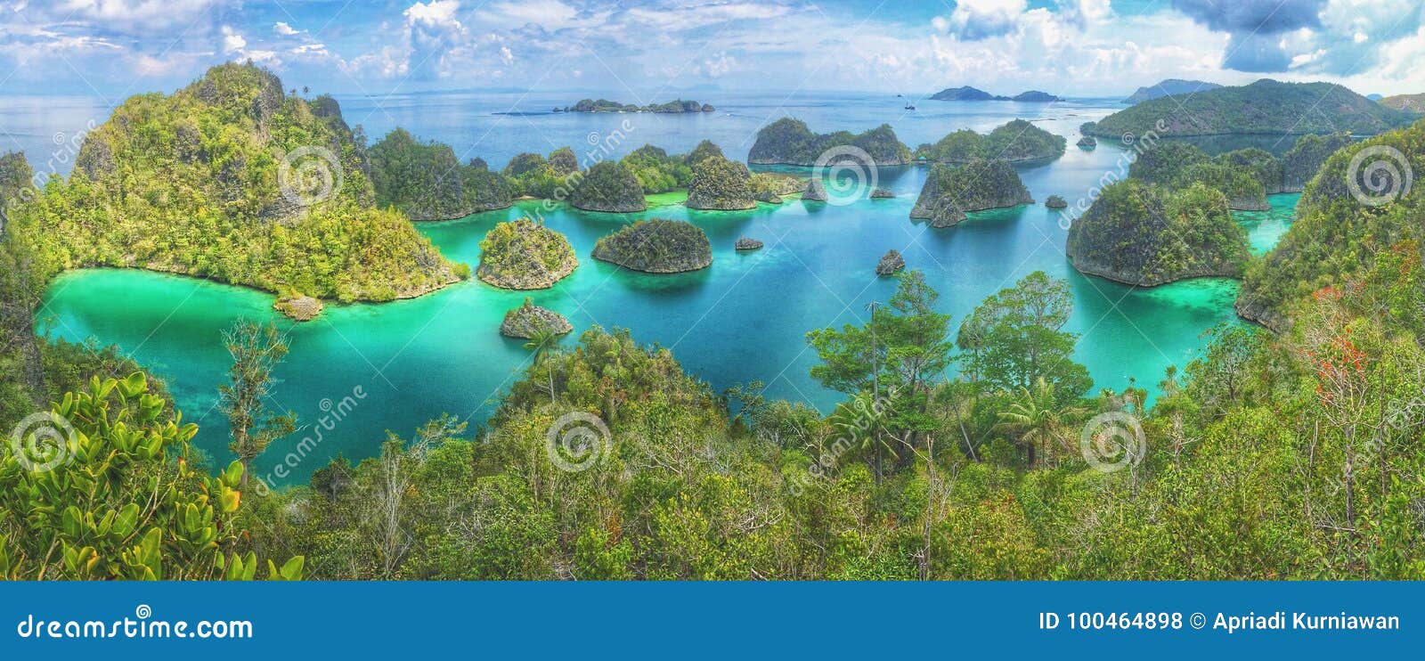 Piaynemo stock photo. Image of papua, landscape, indonesia - 100464898