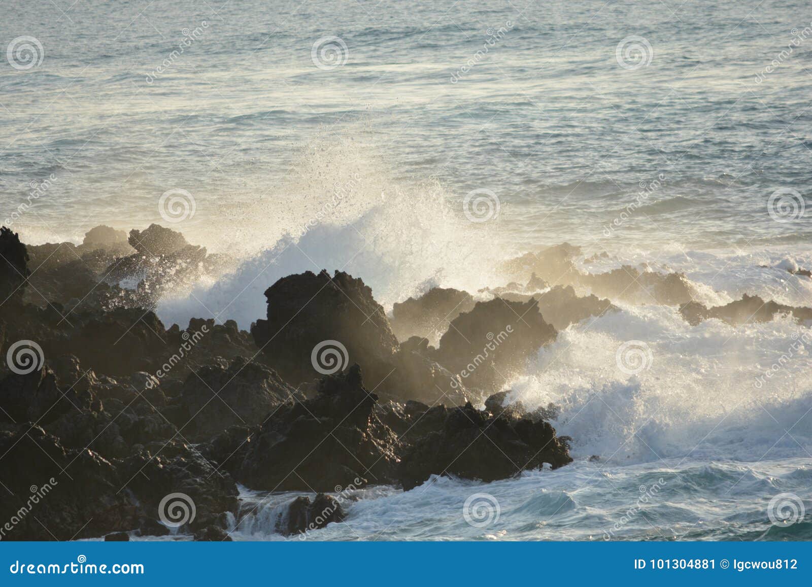 Ocean Break on Lava stock image. Image of tree, beach - 101304881