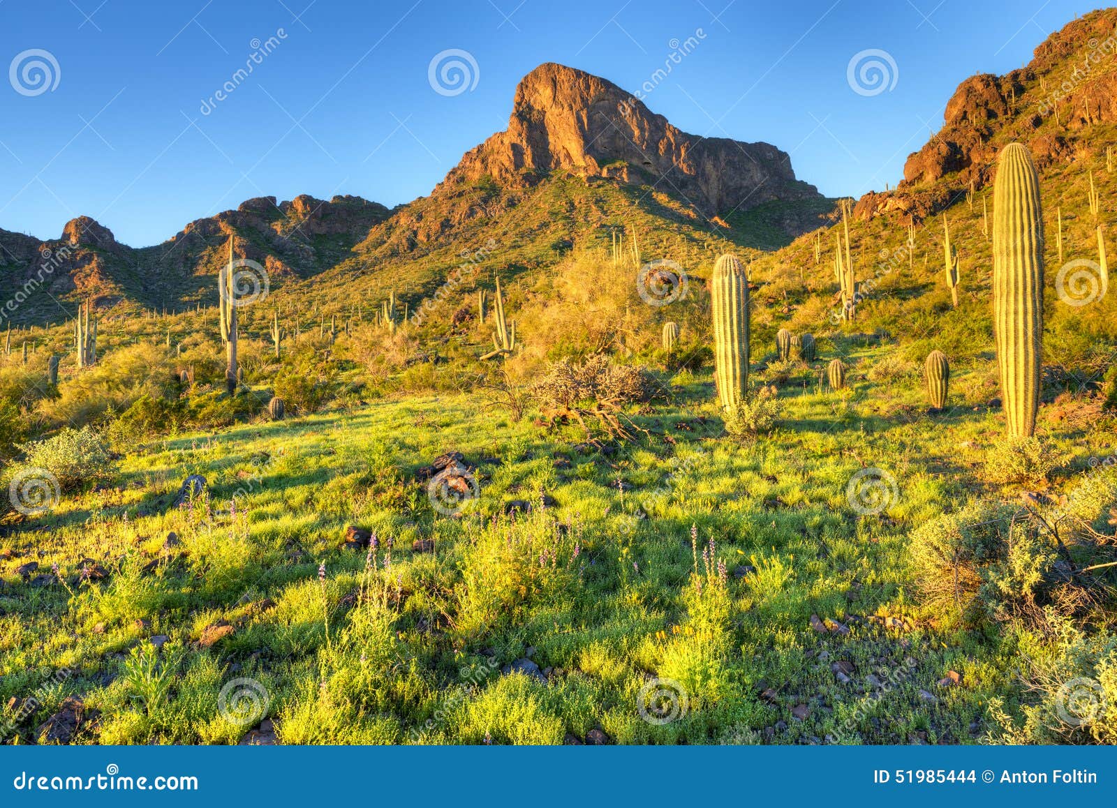 Picacho Peak stock photo. Image of nature, arizona, state - 51985444