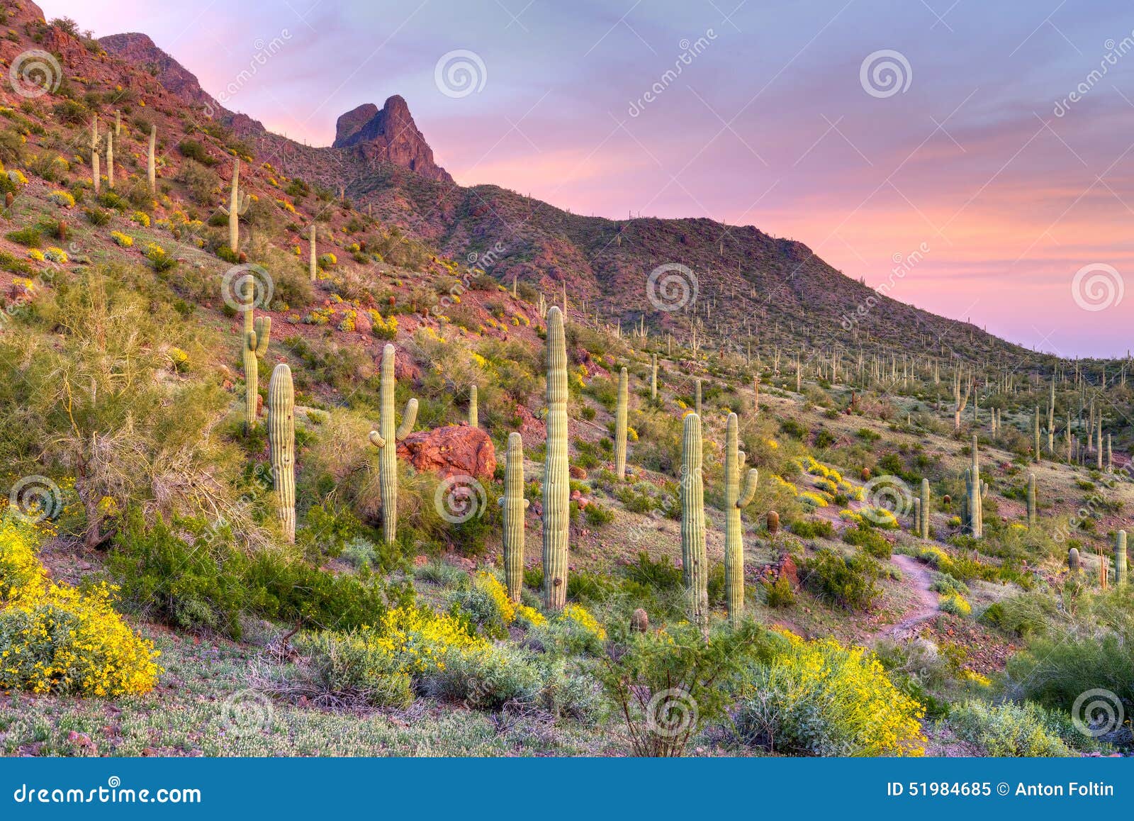 Picacho Peak State Park Royalty-Free Stock Photography | CartoonDealer ...