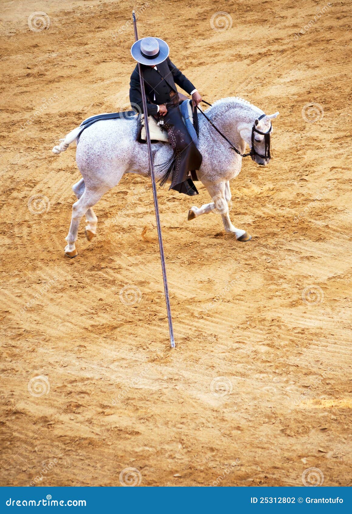 Picador on horseback editorial photography. Image of horse - 25312802