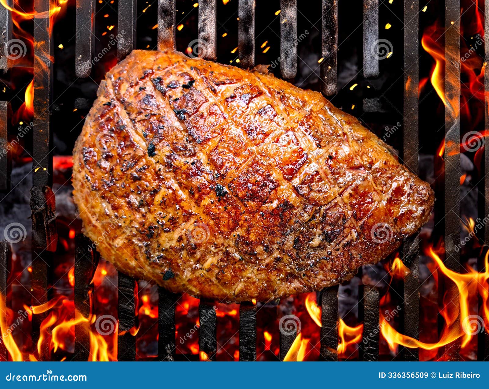 Picanha on a grilled stock image. Image of cook, churrasco - 336356509