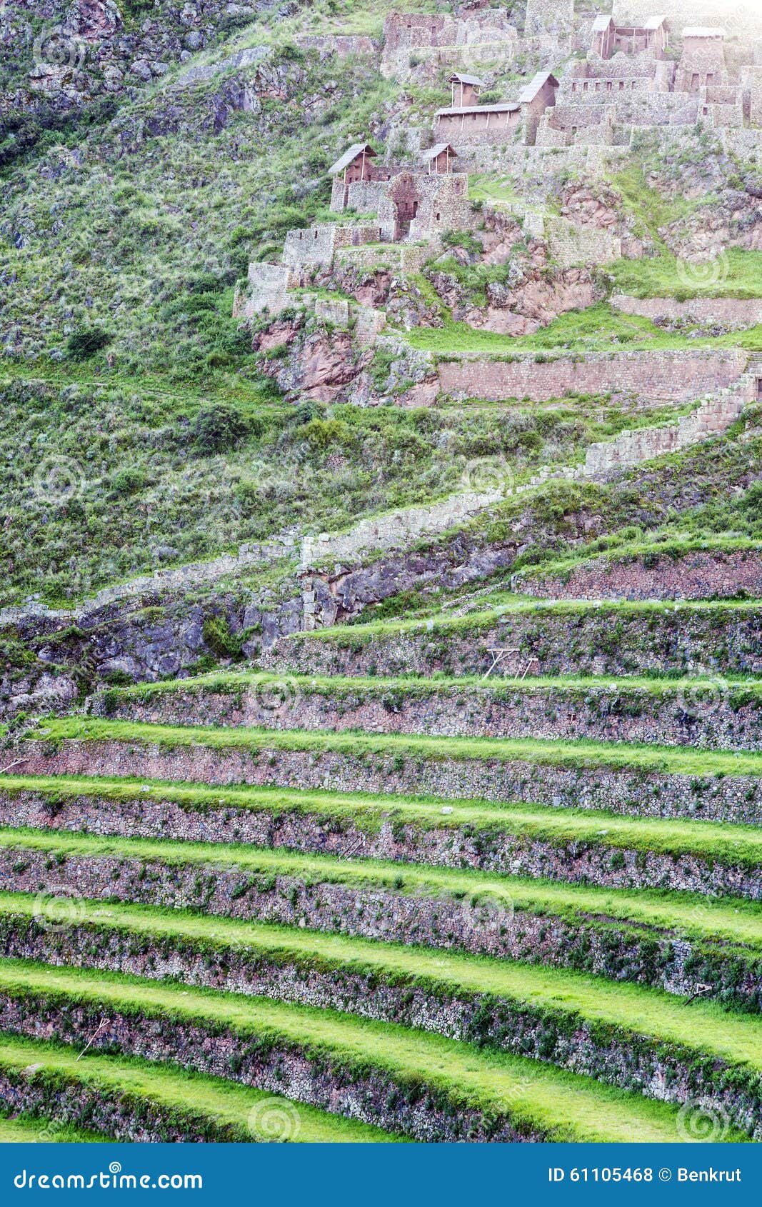 Picas Peru Stock Photos - Free & Royalty-Free Stock Photos from Dreamstime