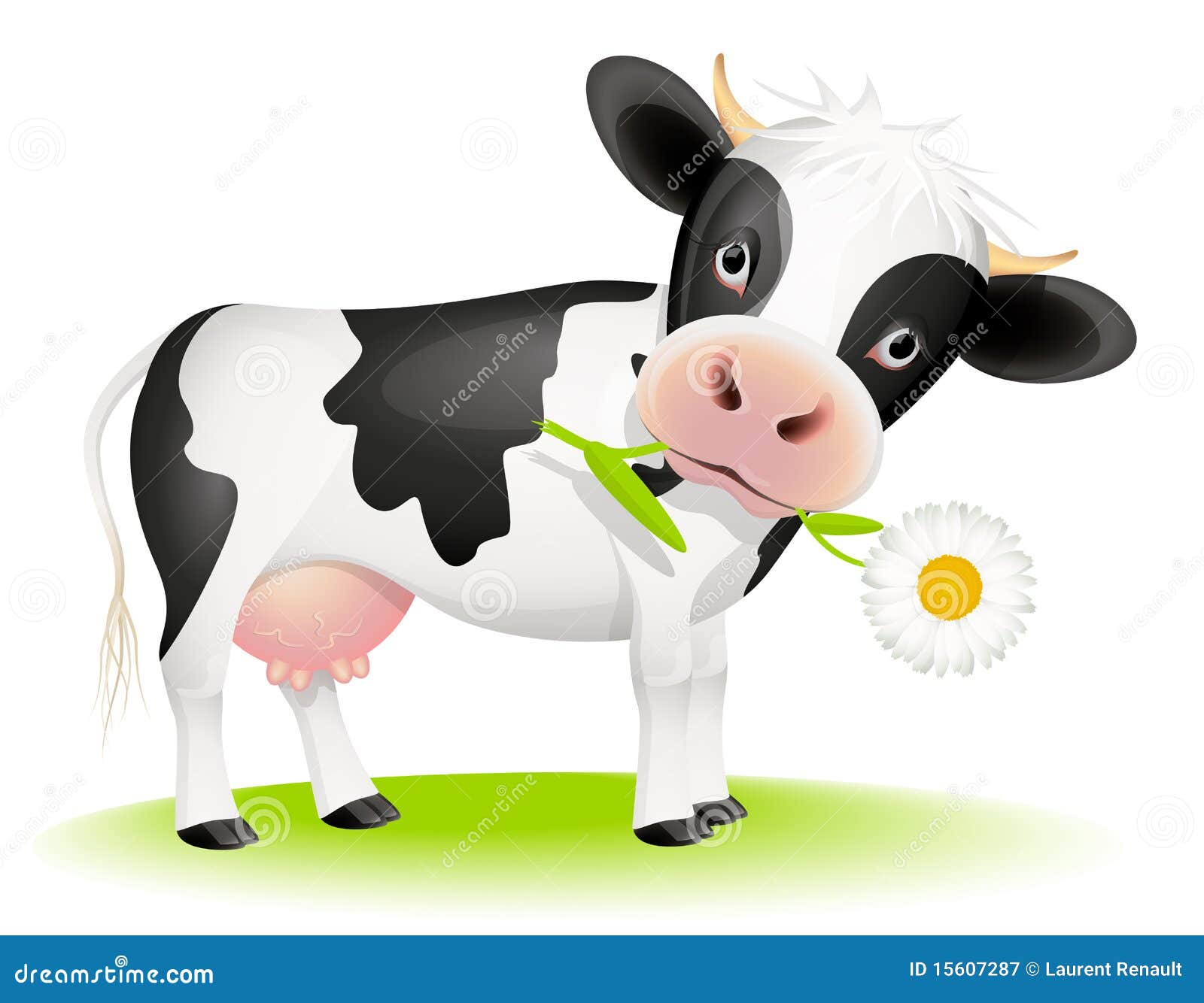 Piccola Mucca Che Mangia Margherita Illustrazione Vettoriale ...