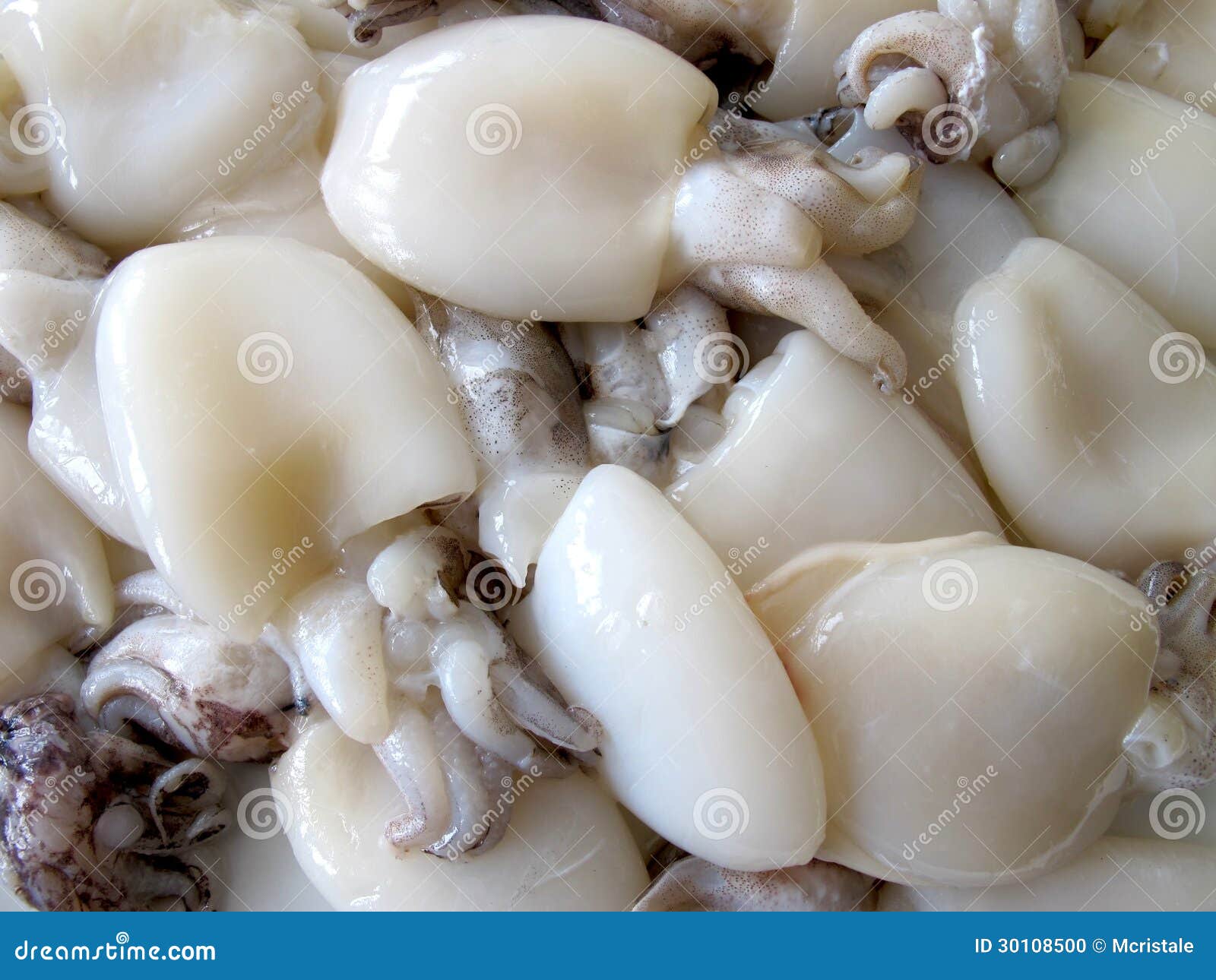 Piccola seppia fotografia stock. Immagine di gruppo, grezzo - 30108500