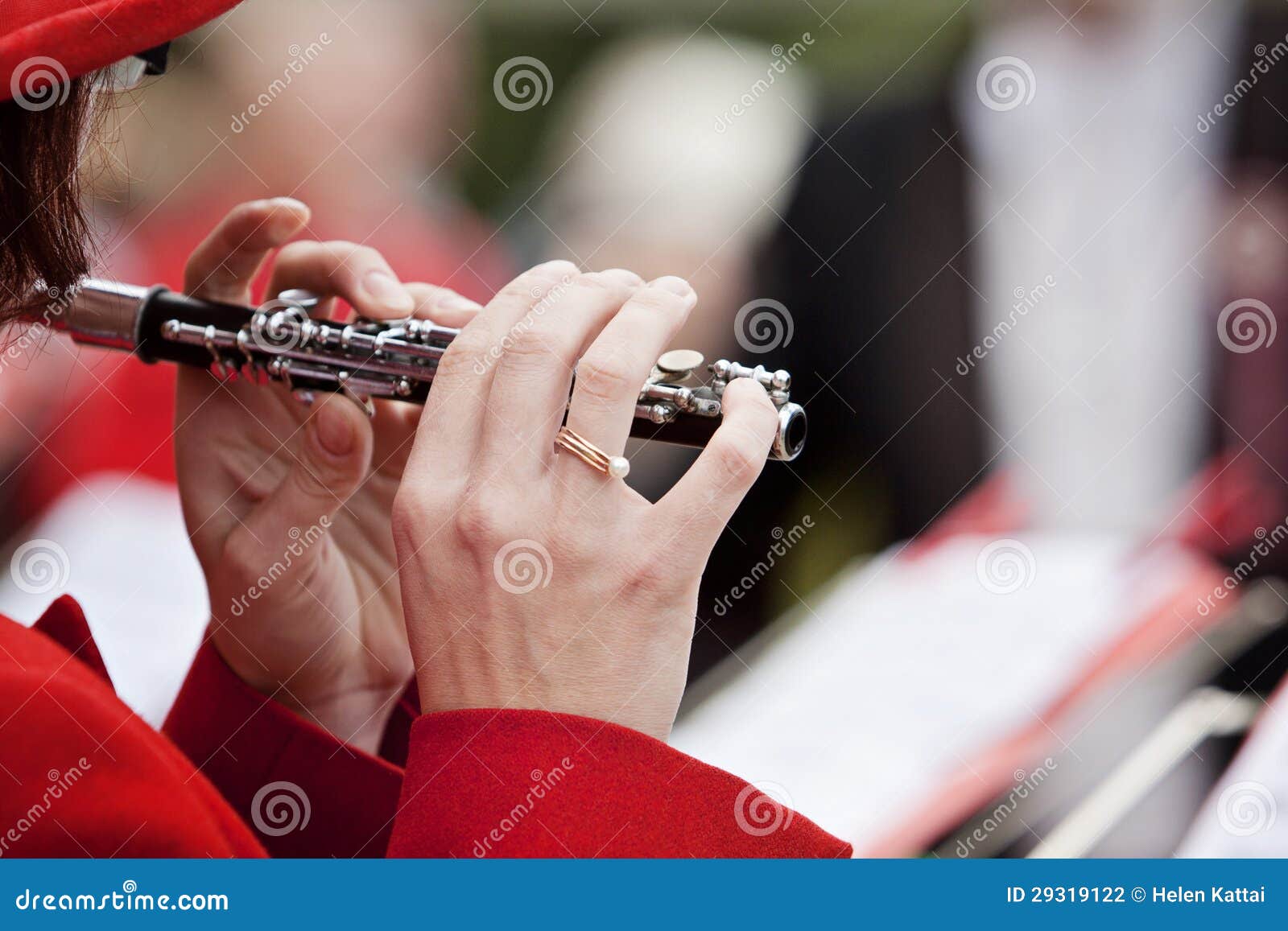 Piccolo stock photo. Image of harmonic, detail, jazz - 29319122