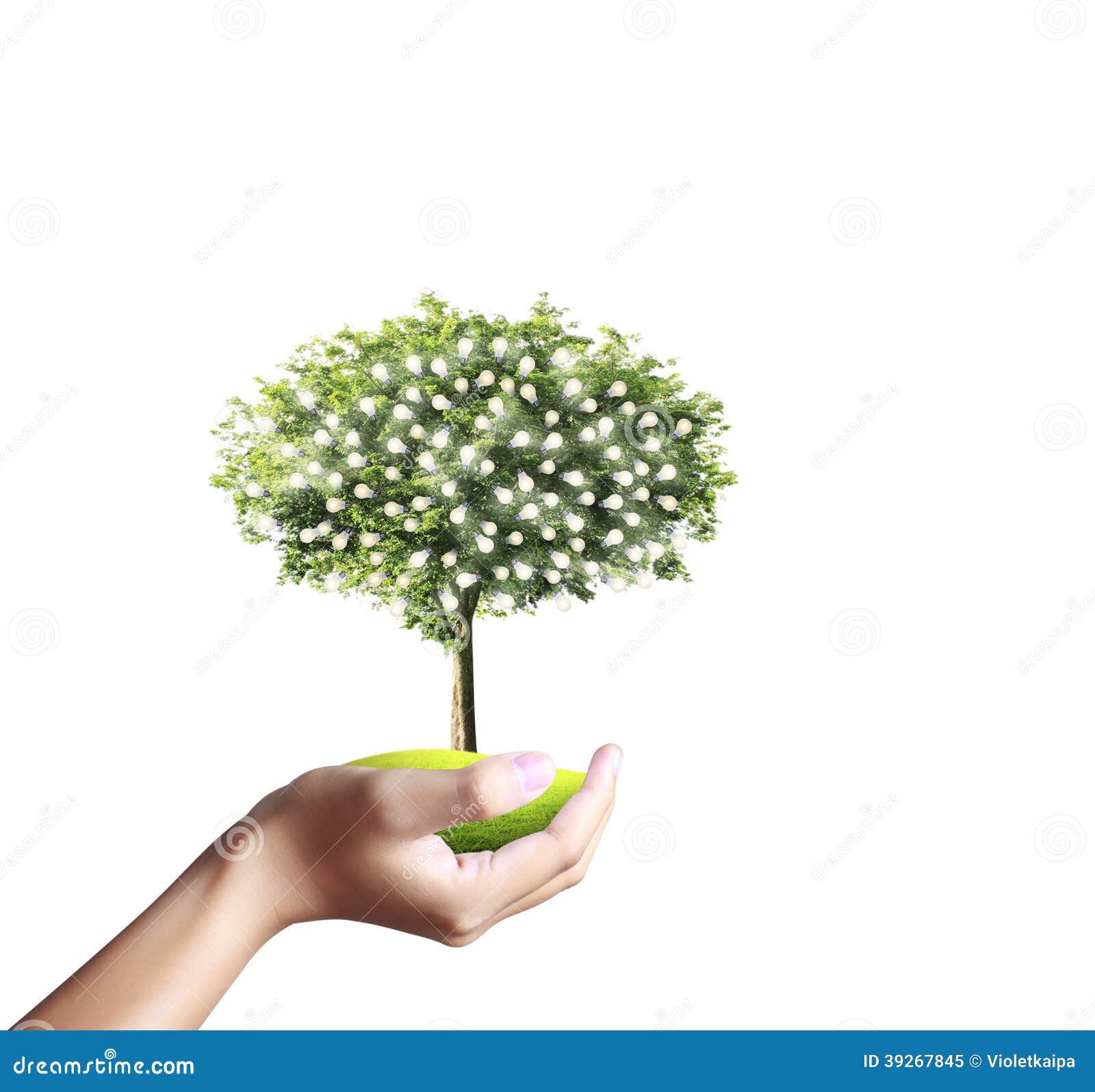 Piccolo Albero, Pianta a Disposizione Immagine Stock - Immagine di ...