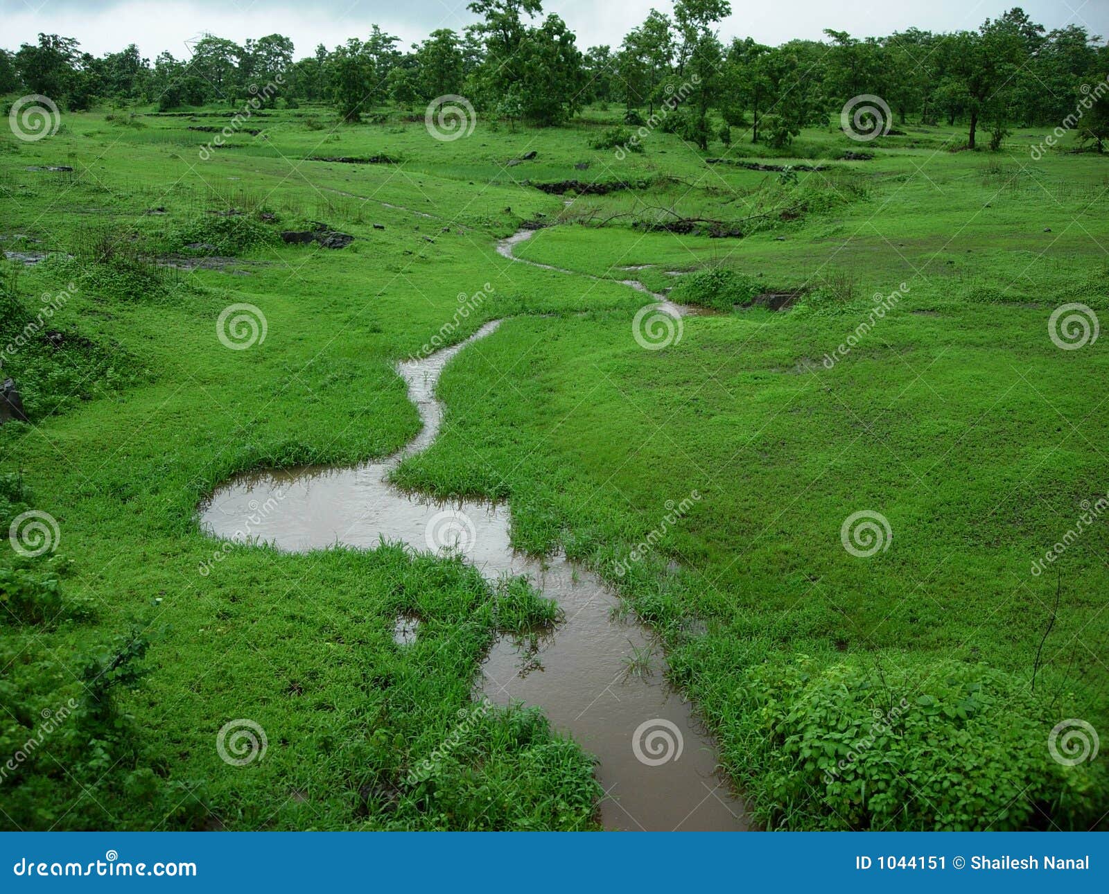 Piccolo Corso D'acqua Di Monsone Immagine Stock - Immagine di grafici ...