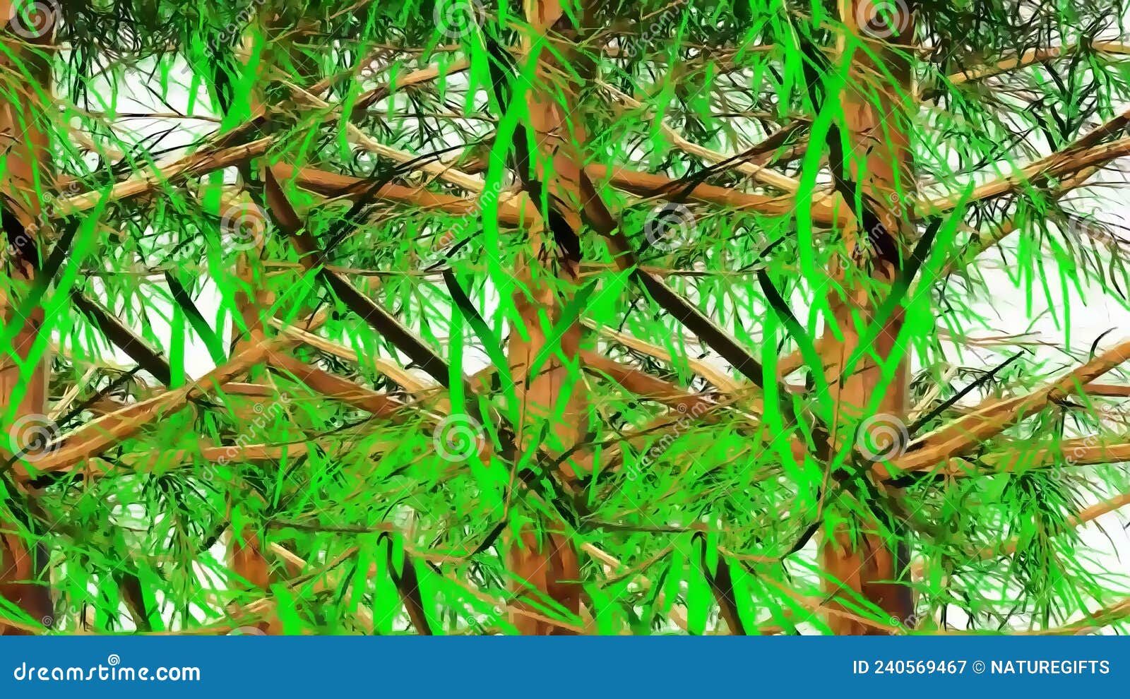 Picea Abies Tree Botanical 3D Stock Illustration - Illustration of ...