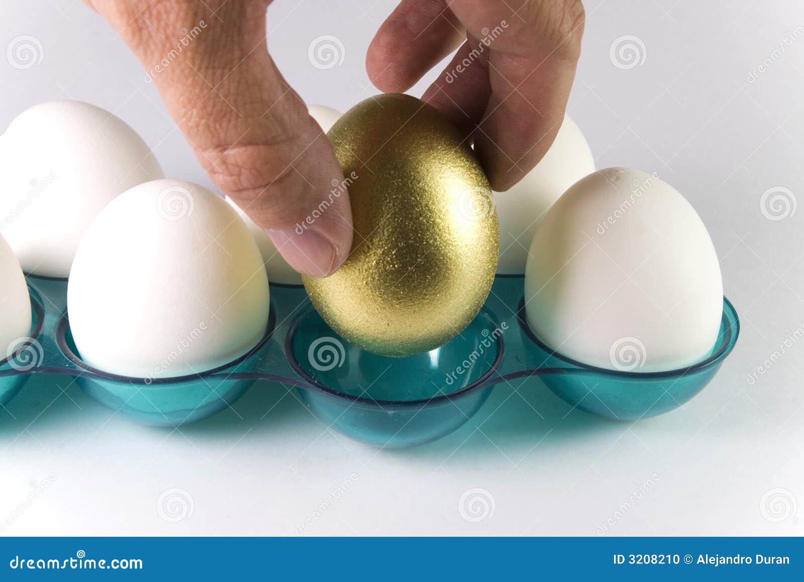 Pick the golden egg stock photo. Image of mutual, investment - 3208210
