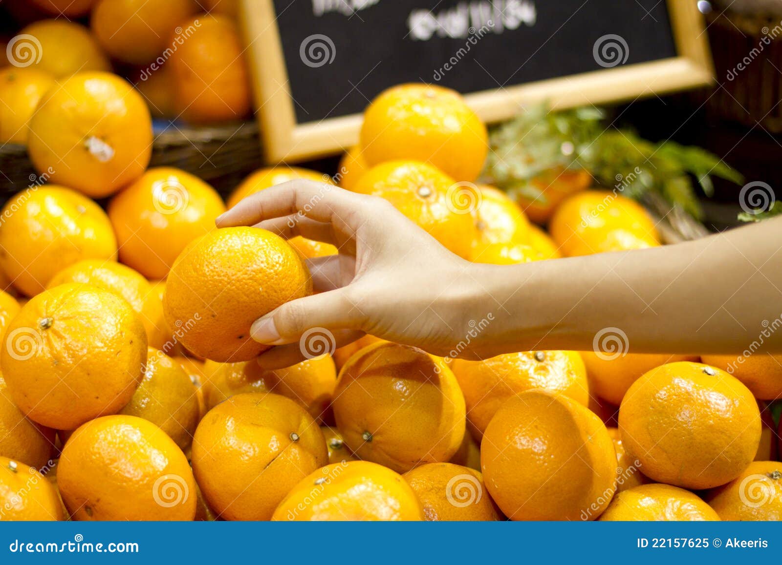 Pick orange stock image. Image of agriculture, fresh - 22157625