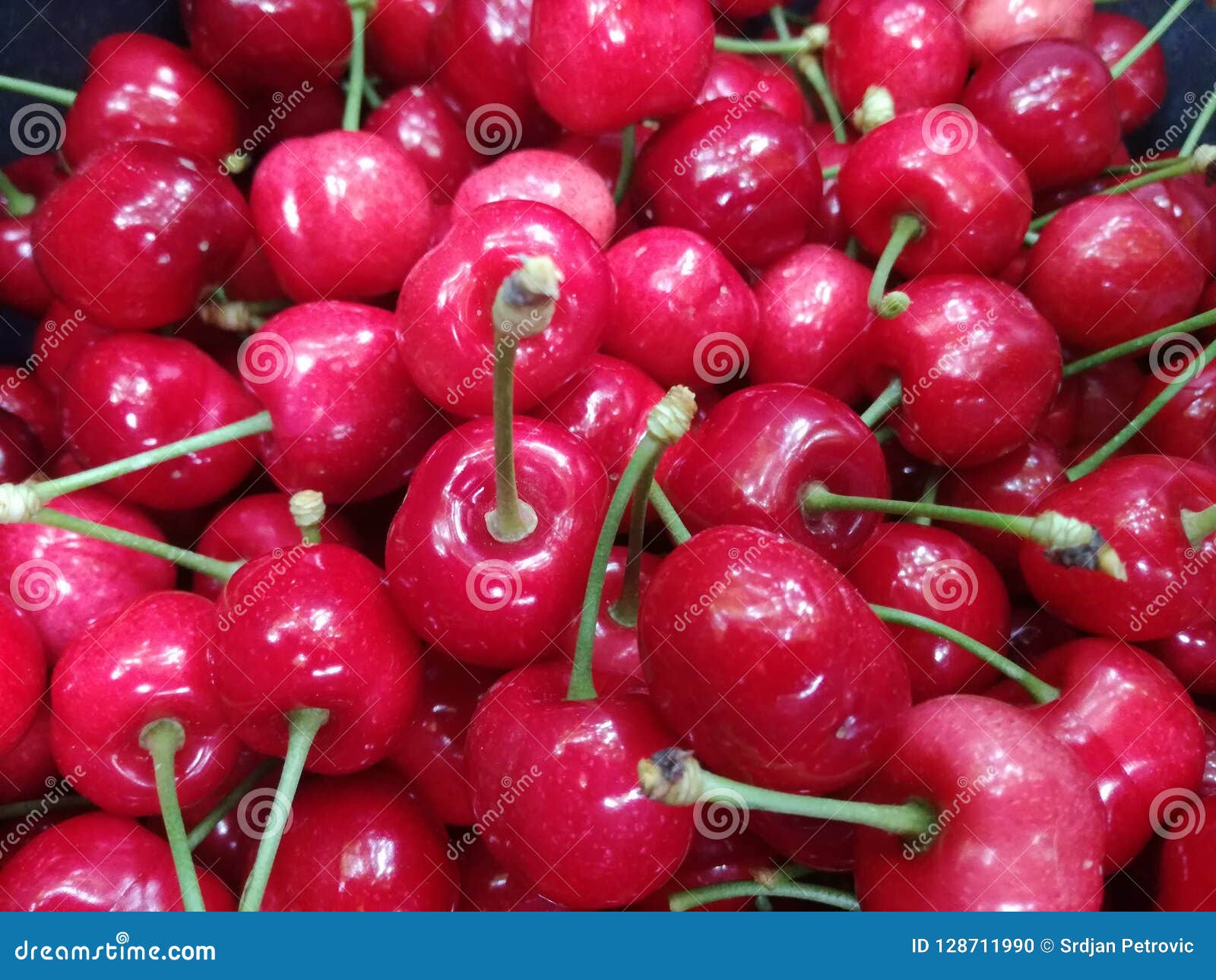Pick Up Beautiful Red Cherries Stock Photo - Image of pick, cherries ...