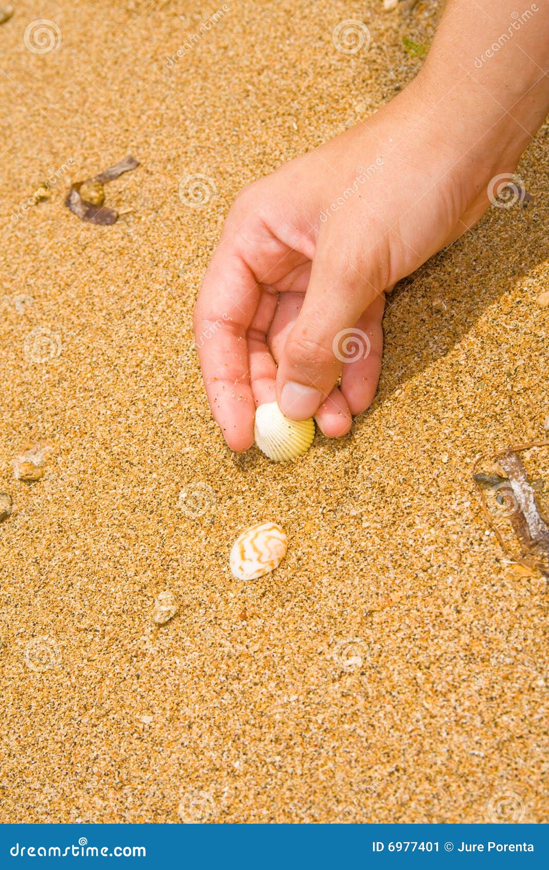 Pick Up The Shells Stock Image - Image: 6977401