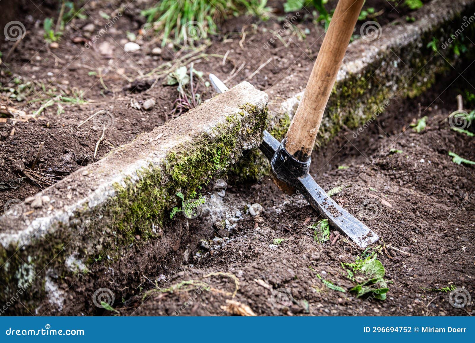 Pickaxe in the Garden, Old Kerbstone is Dug Up Stock Photo - Image of ...