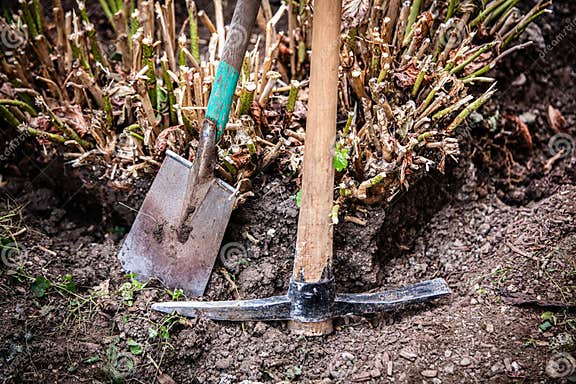A Pickaxe and a Spade in the Garden Stock Photo - Image of nature ...