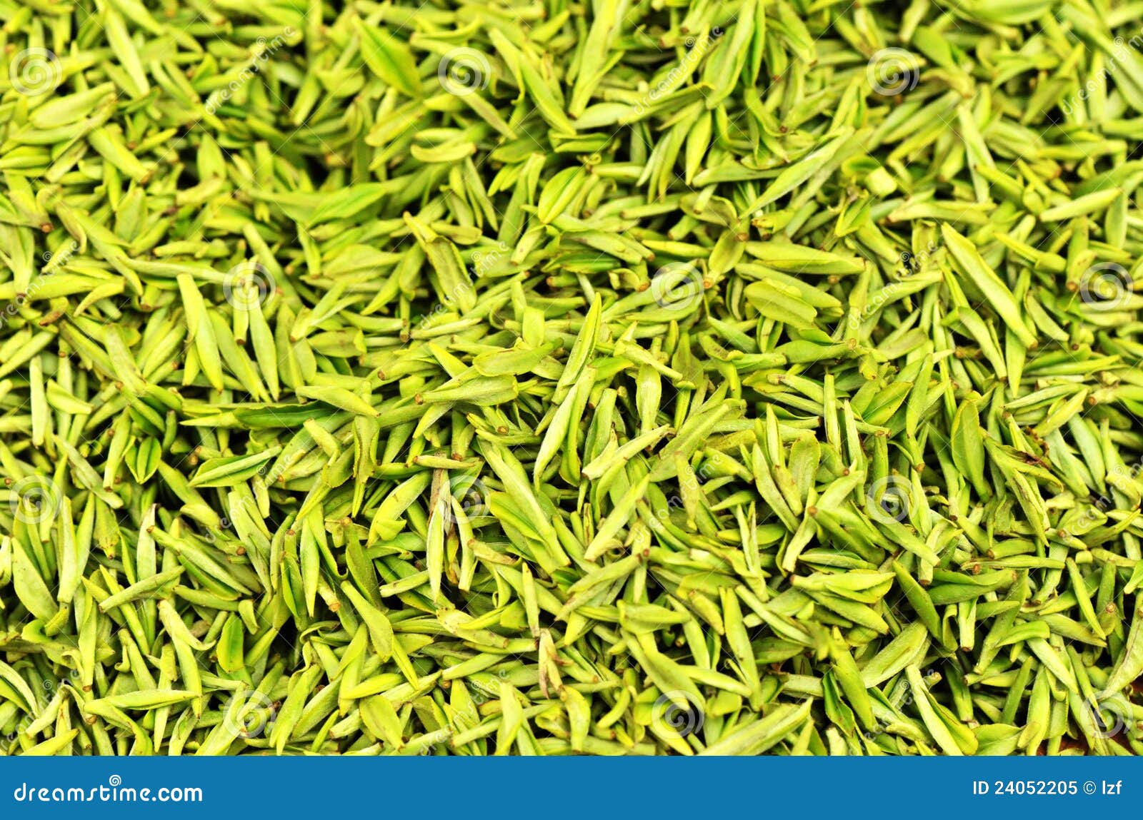 Picked green tea leaves stock image. Image of green, manual - 24052205