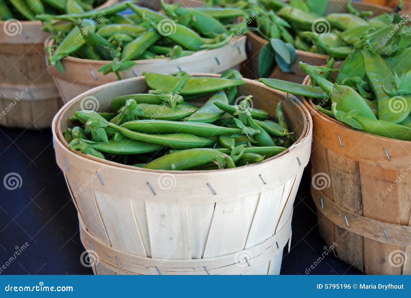 Picked Produce stock photo. Image of crisp, market, ripe - 5795196