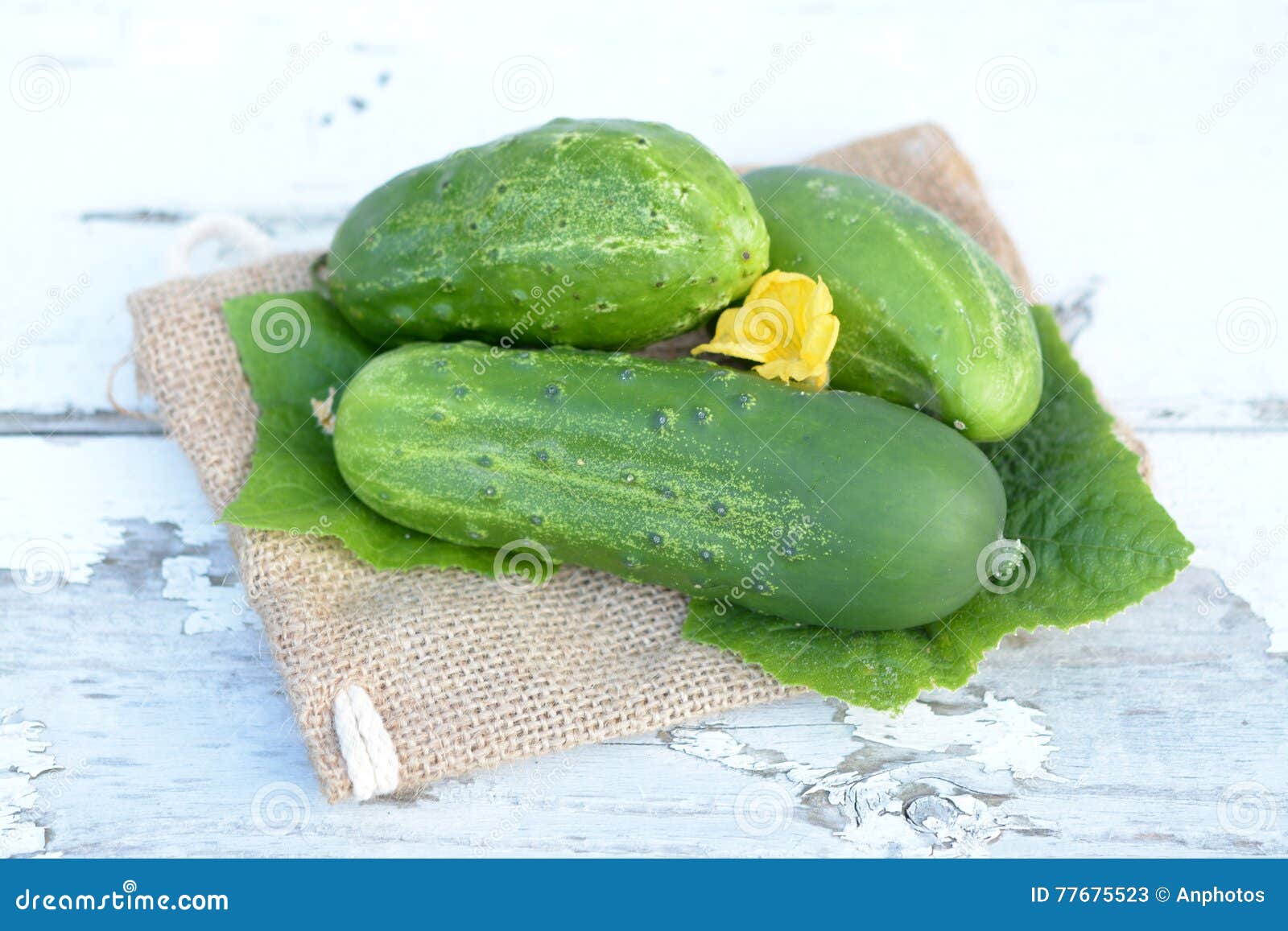 Pickel stock image. Image of summer, table, fruit, plant - 77675523