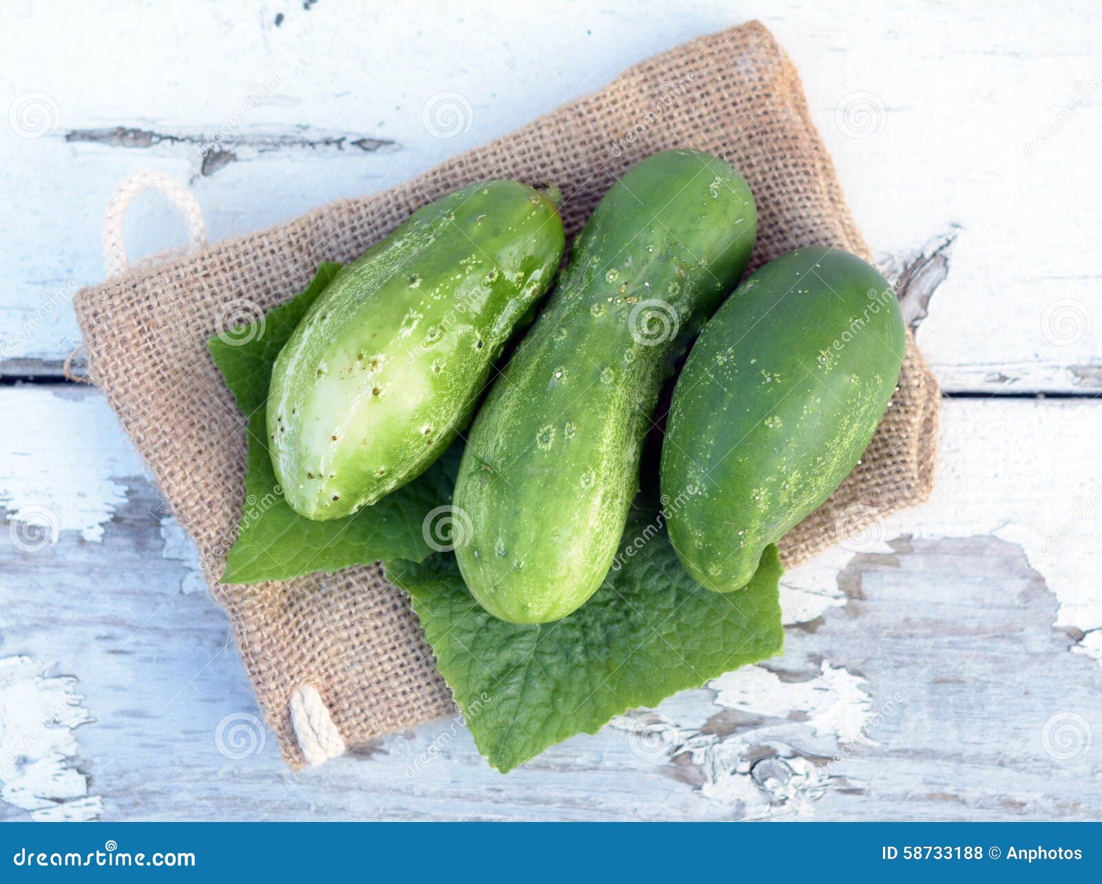 Pickel stock photo. Image of pickel, vegetable, summer - 58733188