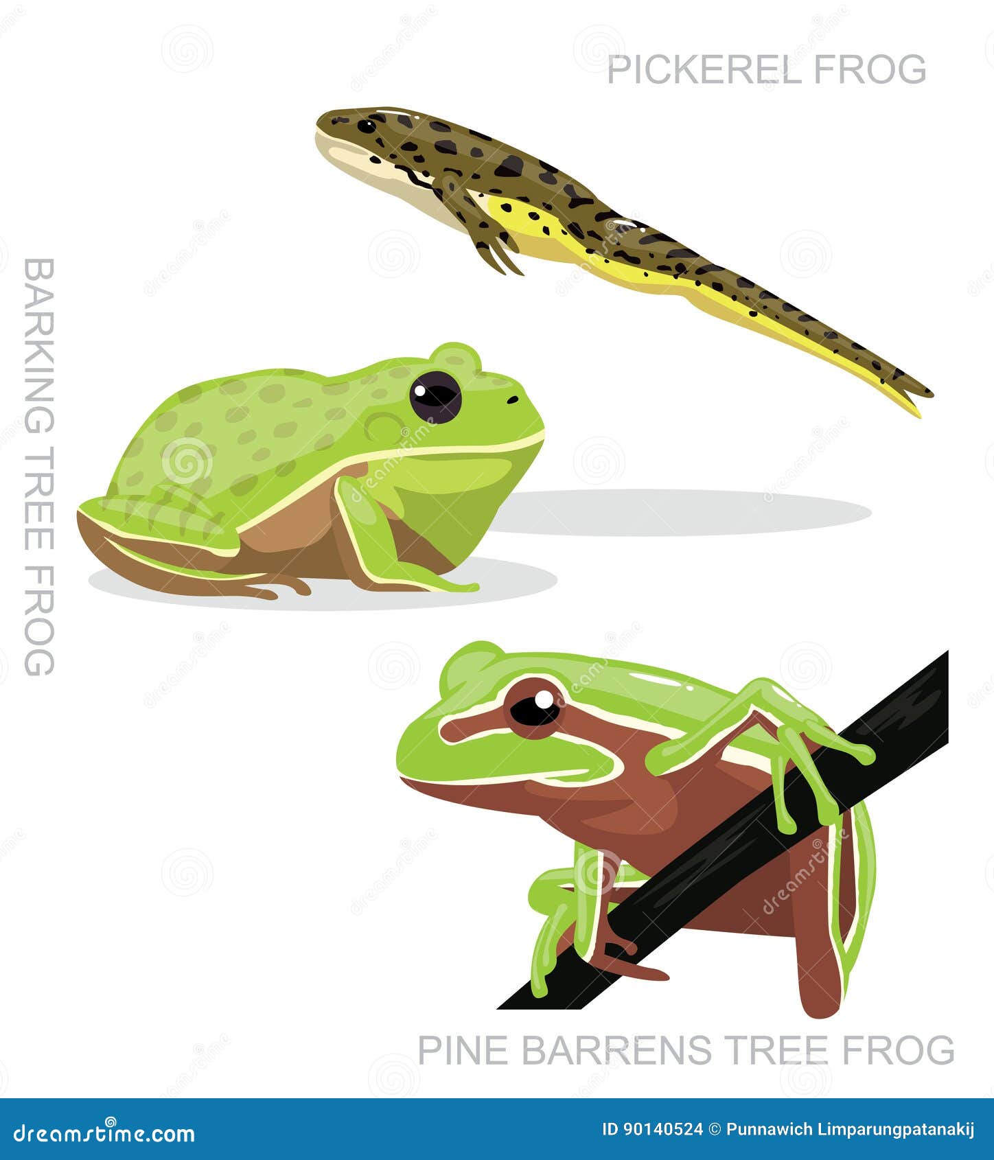 Pickerel Frog Set Cartoon Vector Illustration Stock Vector ...