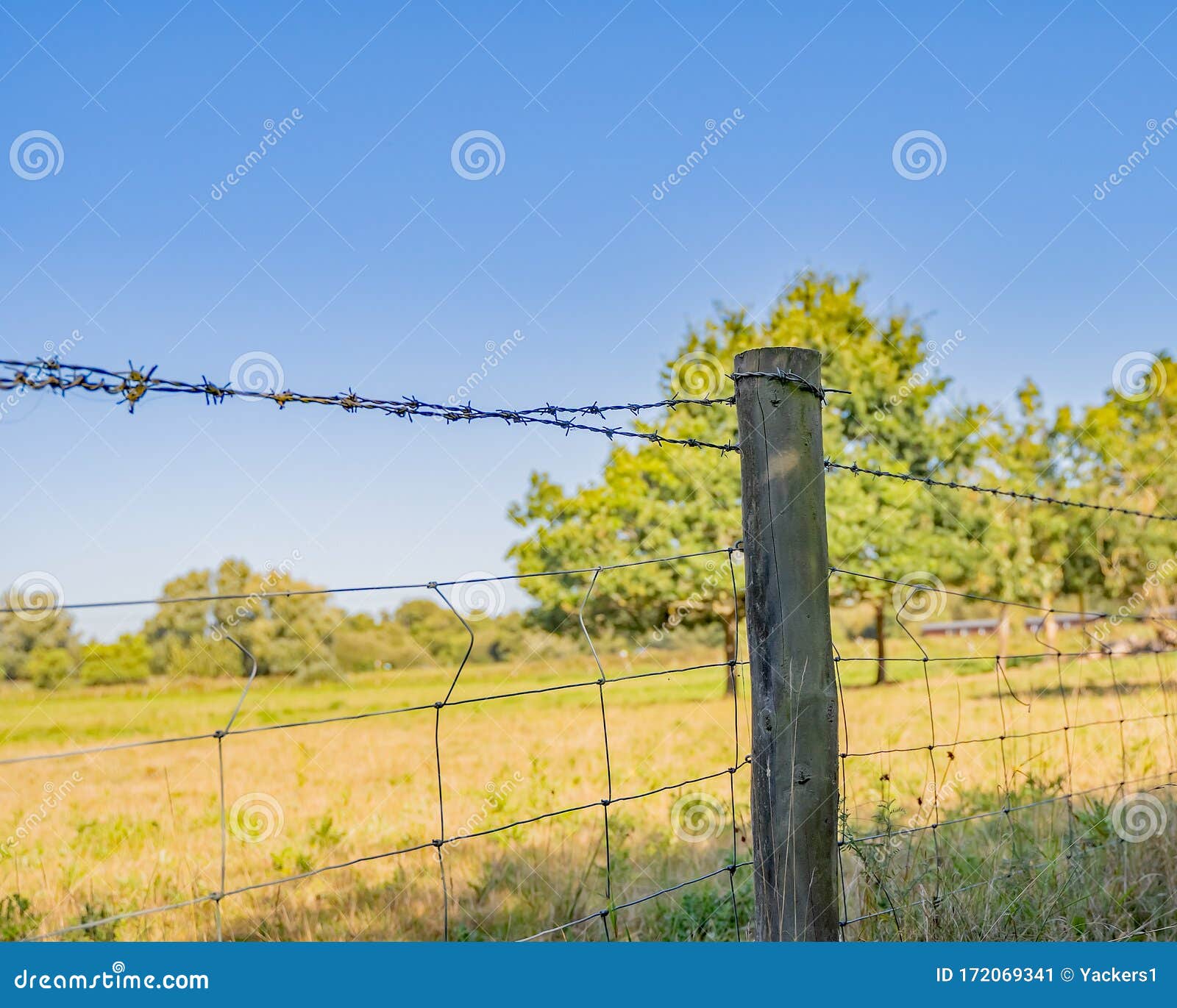 Picket Fence and Barbed Wire in the Rural Countryside Stock Image ... Picket Fence and Barbed Wire in the Rural Countryside Stock Image ...
