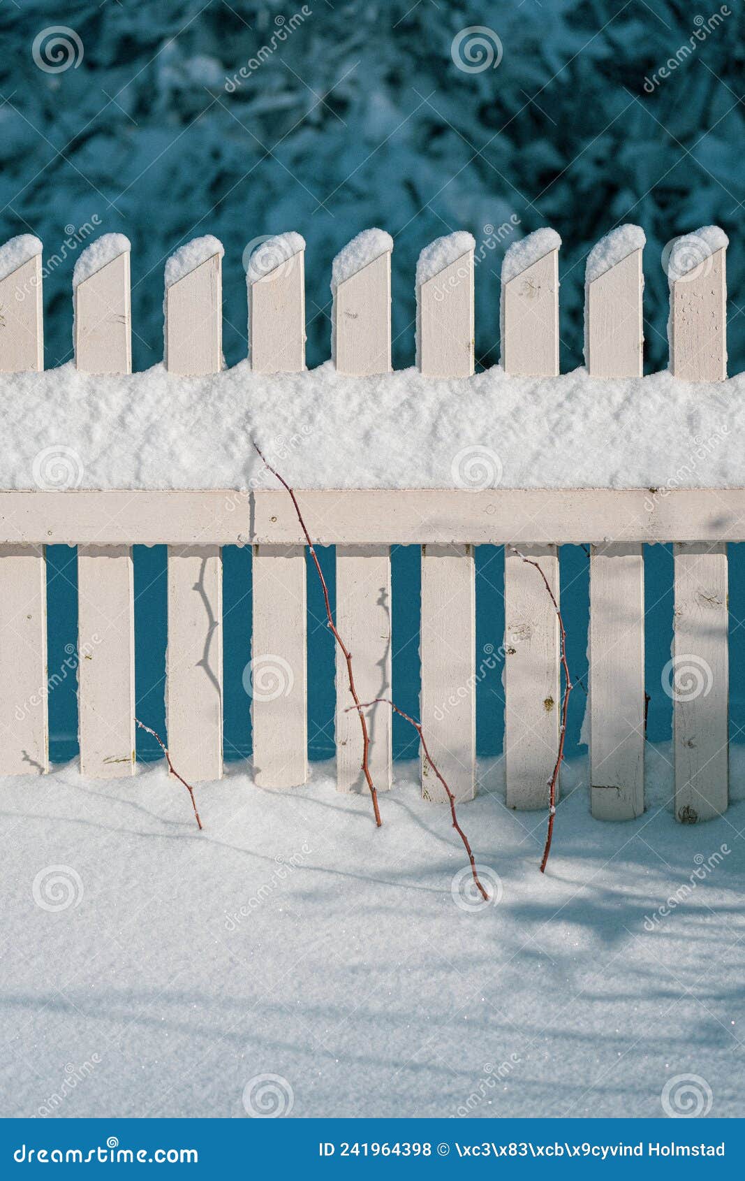 Picket fence in the snow stock photo. Image of snow - 241964398
