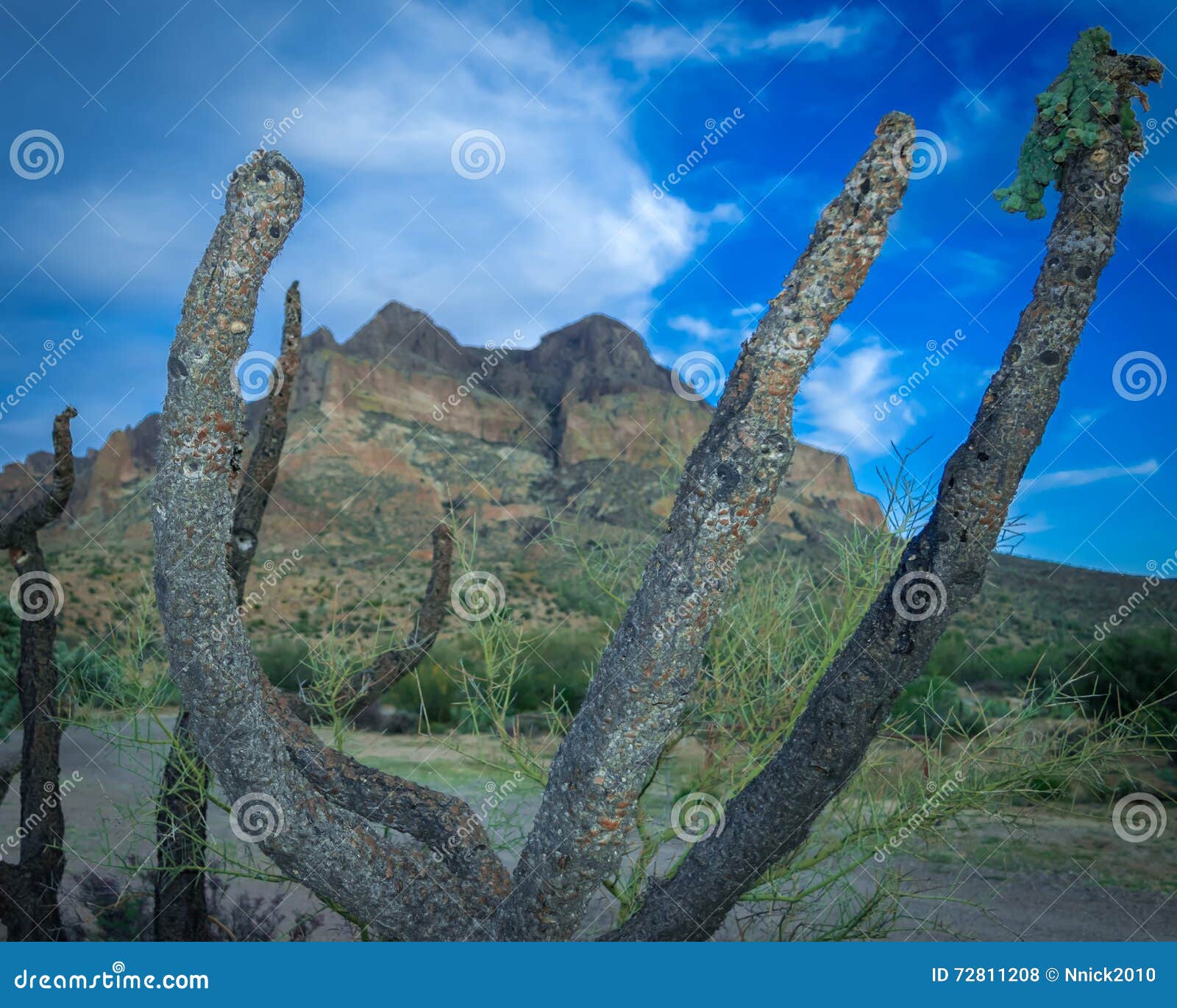 Picket Post Mountain stock photo. Image of mountain, arizona - 72811208