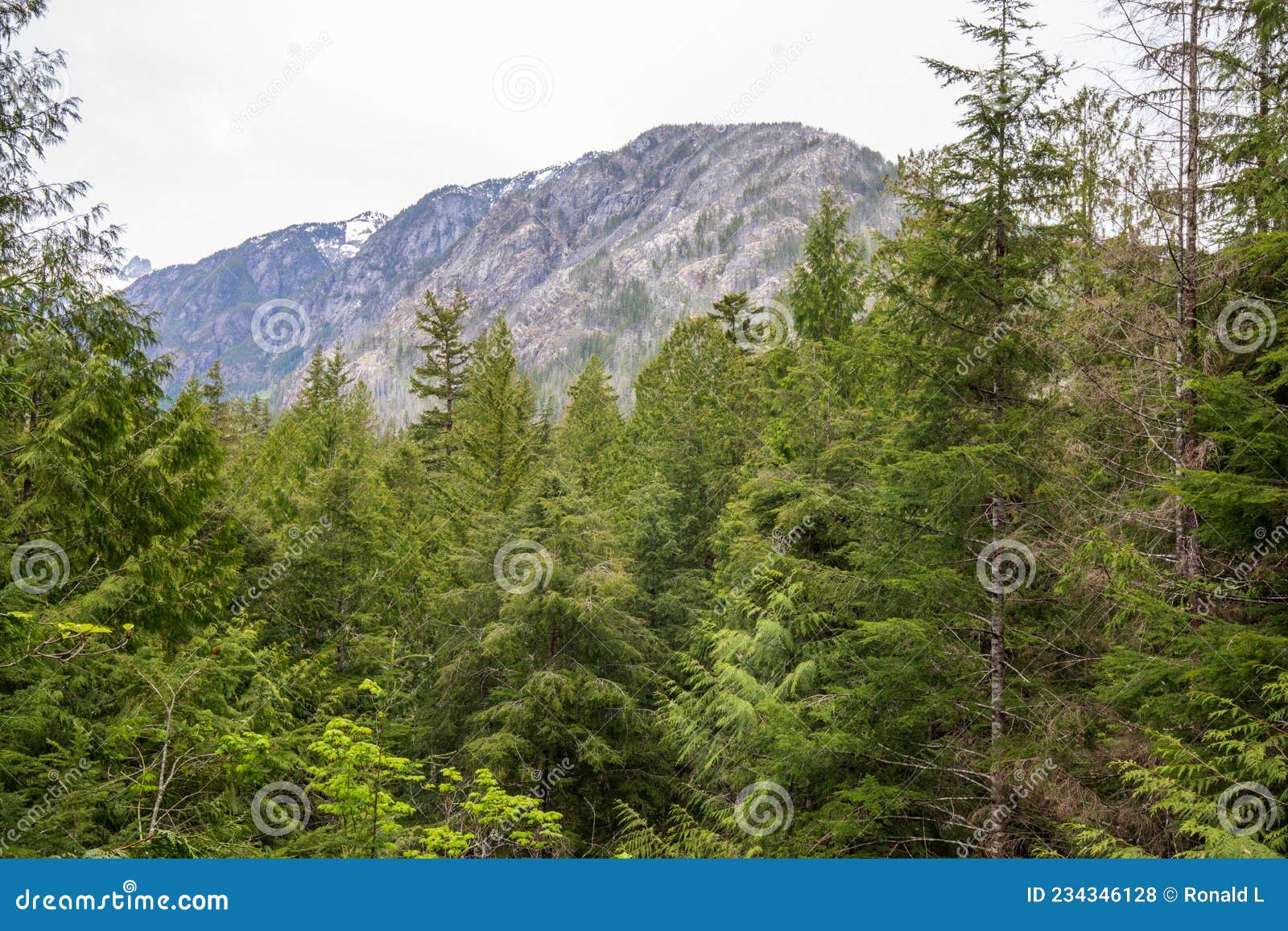 The Picket Range at North Cascades National Park in Washington State ...