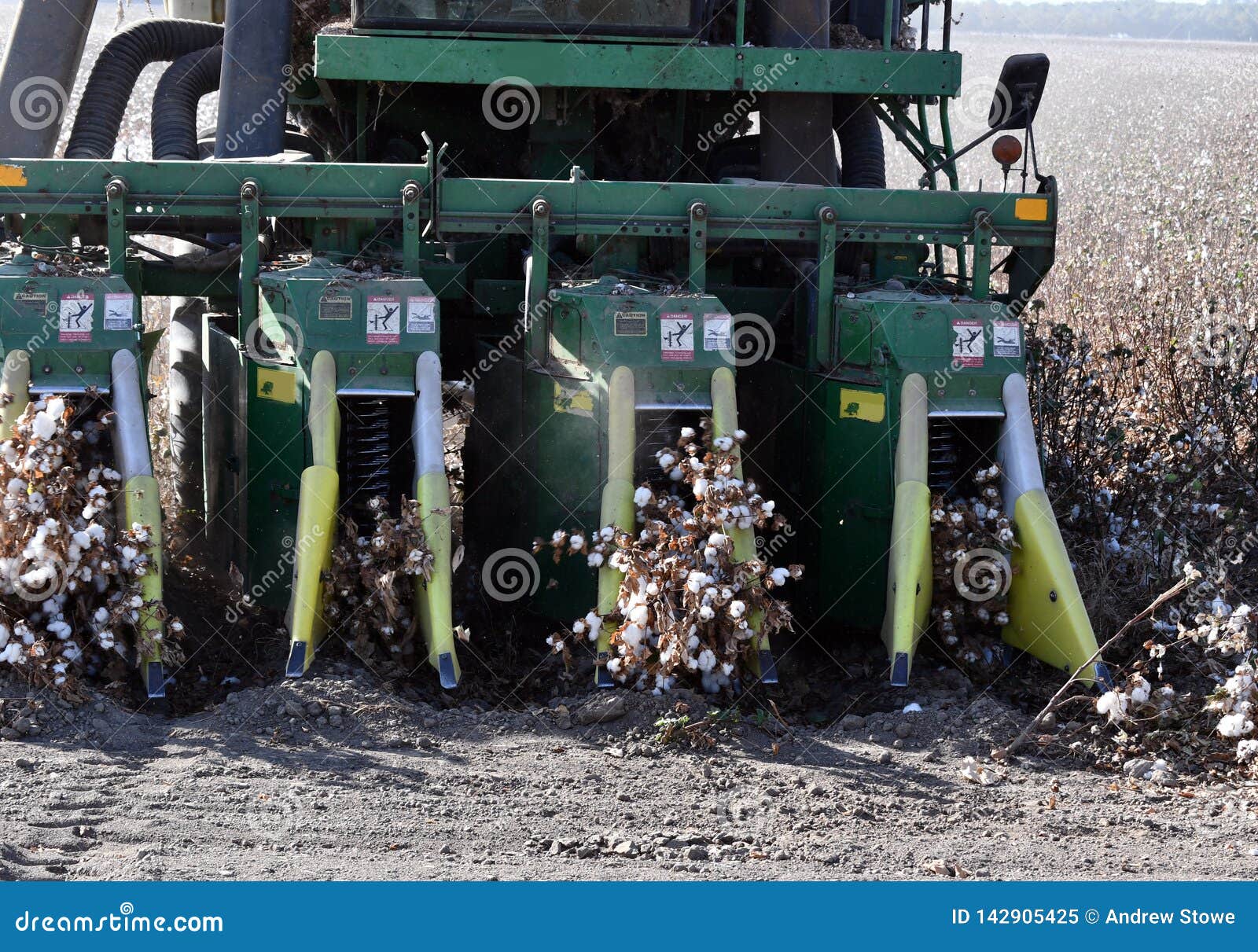 Picking Cotton with a Cotton Picker, Harvests Cotton with a Cotton Gin ...