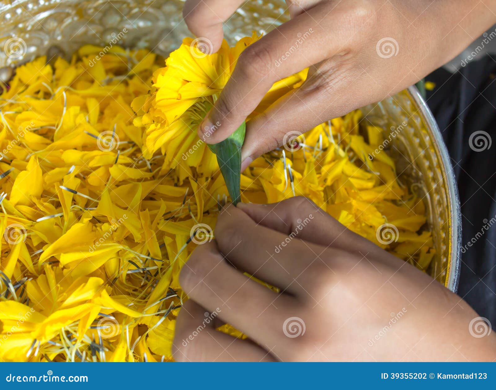 Picking flowers stock photo. Image of natural, baskets - 39355202