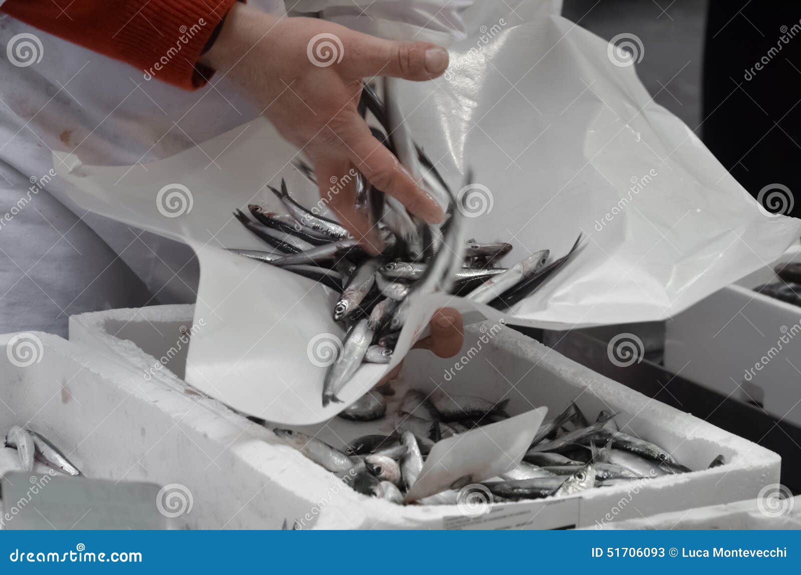 Picking Fresh Fish at Fish Counter in Fish Market Stock Image - Image ...