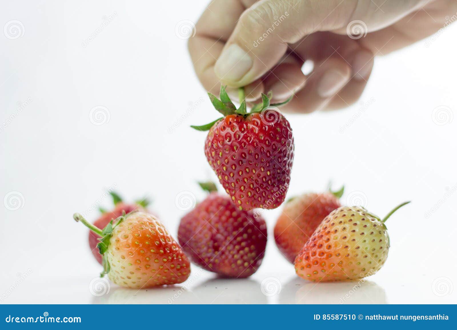 Picking Strawberry Berry Red on White Isolate,Front View Isolat Stock ...