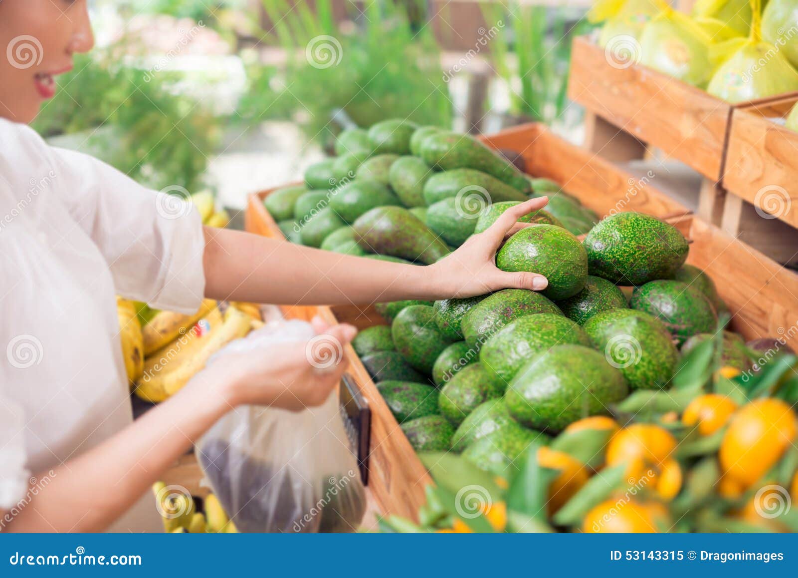 Picking up avocadoes stock image. Image of food, cropped - 53143315