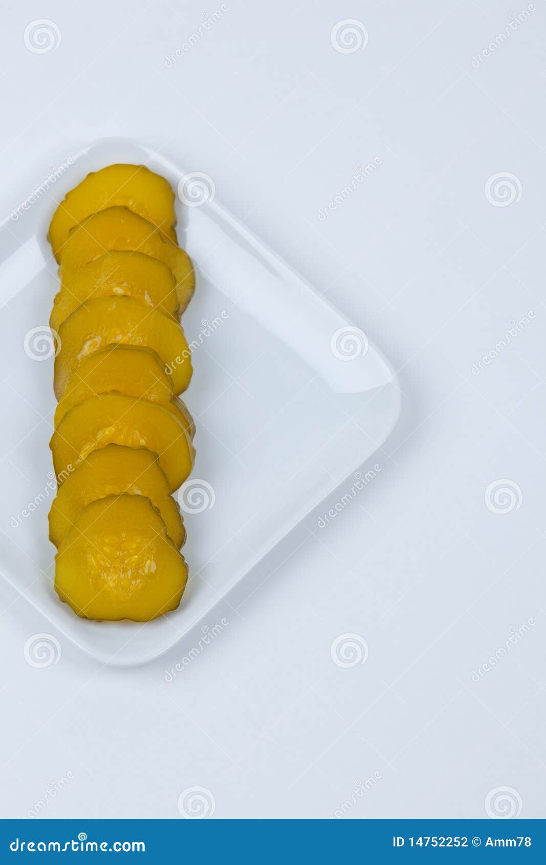 Pickle Plate stock photo. Image of angle, copy, portrait - 14752252