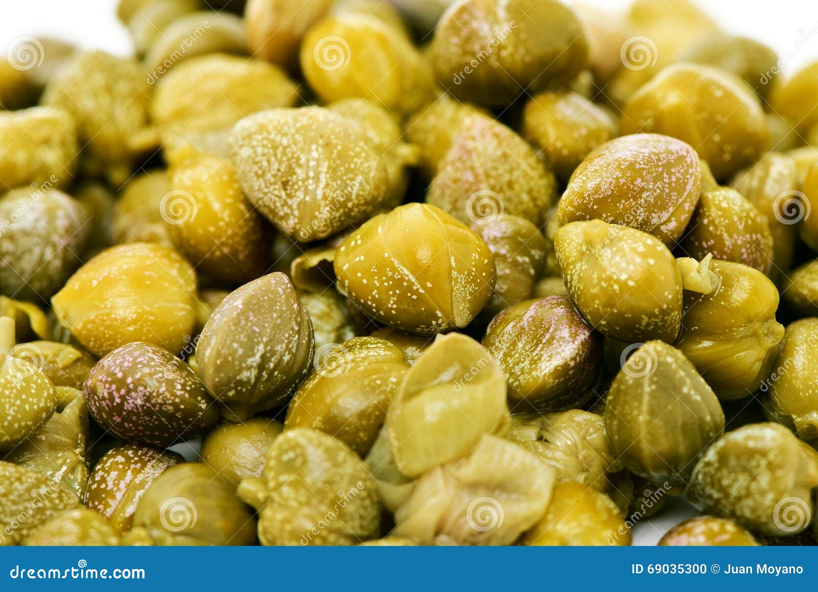 Pickled capers stock photo. Image of pickled, bushfood - 69035300