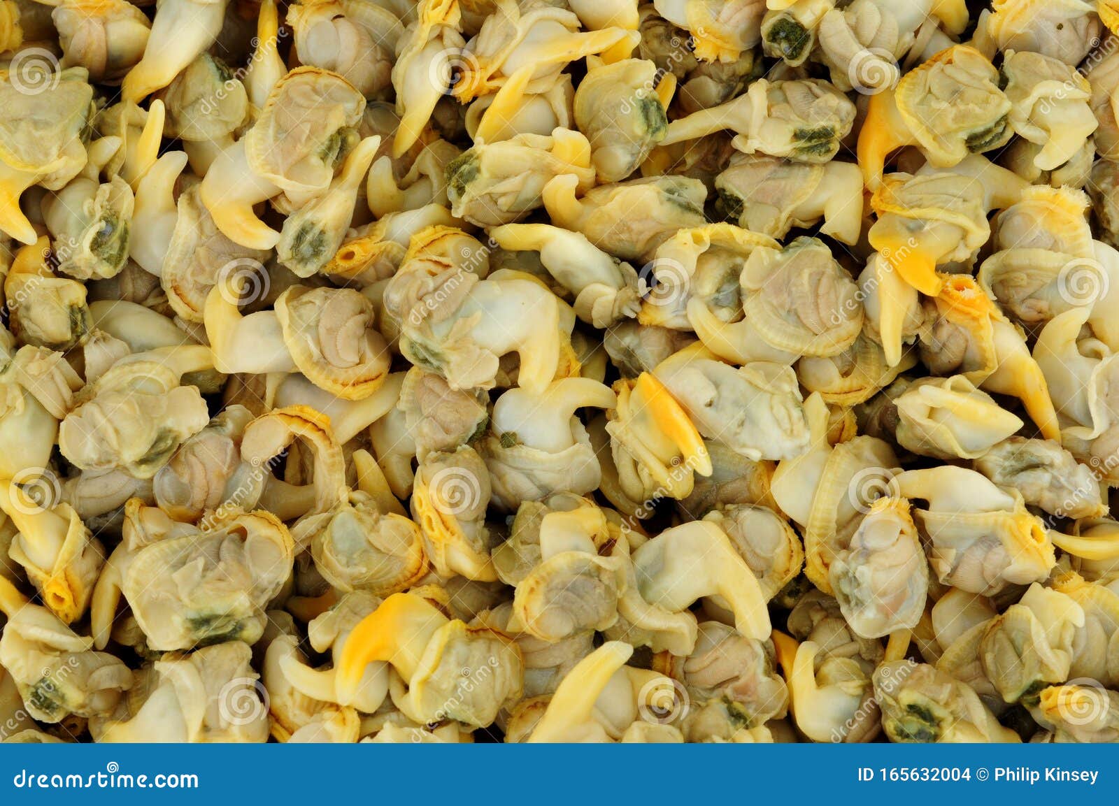 Pickled cockles background stock photo. Image of background - 165632004