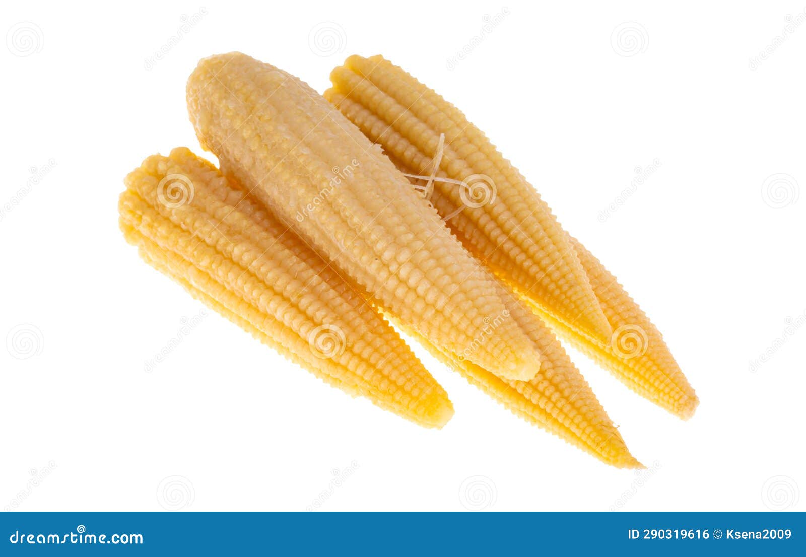 Pickled corn isolated stock photo. Image of grocery - 290319616