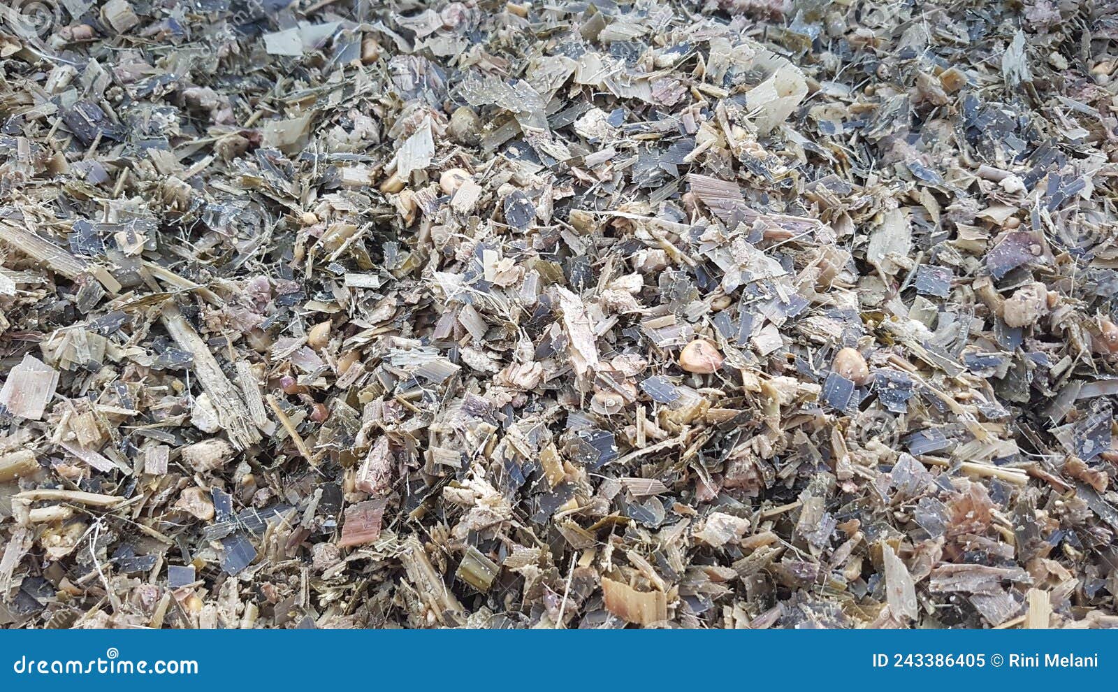 Pickled corn tree flakes stock image. Image of iron - 243386405