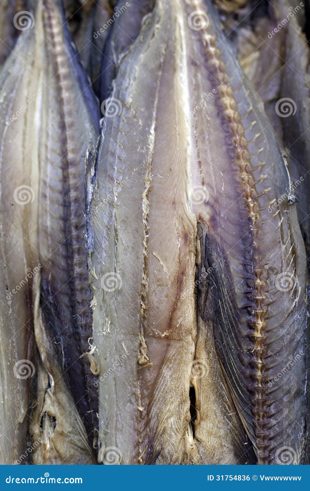 Pickled fish stock photo. Image of fishes, flavored, pickled - 31754836