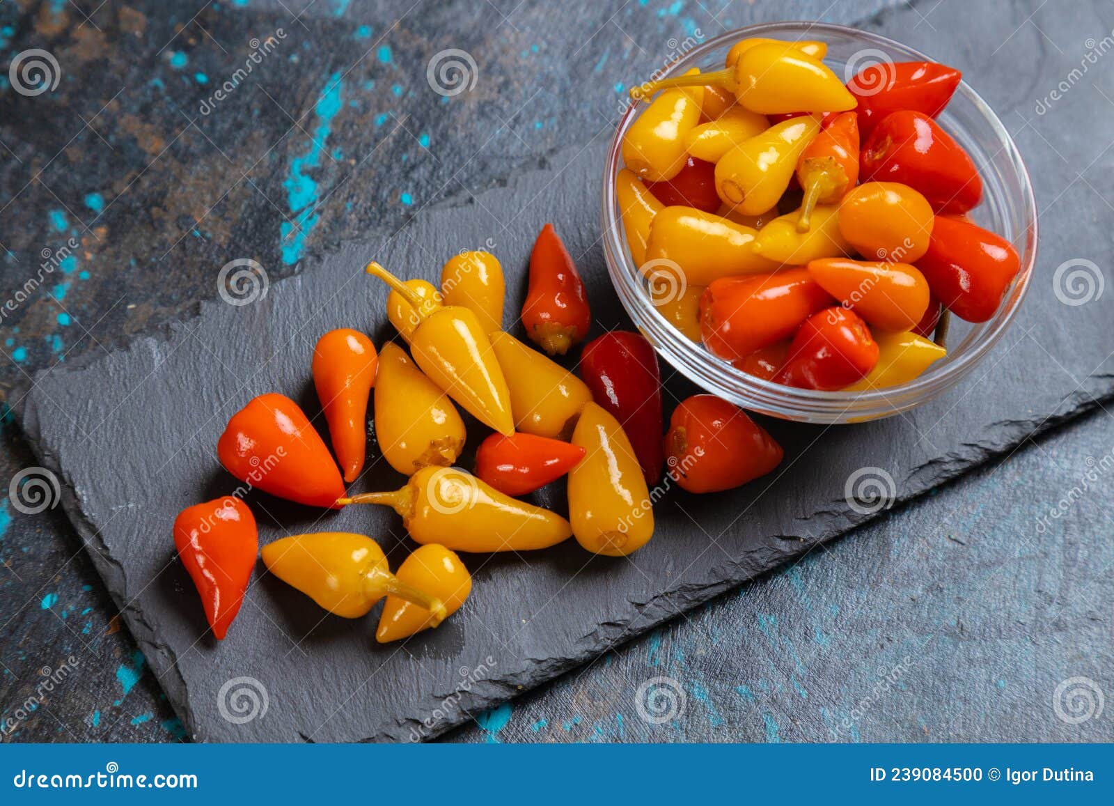 Pickled hot chili peppers stock photo. Image of chilis - 239084500
