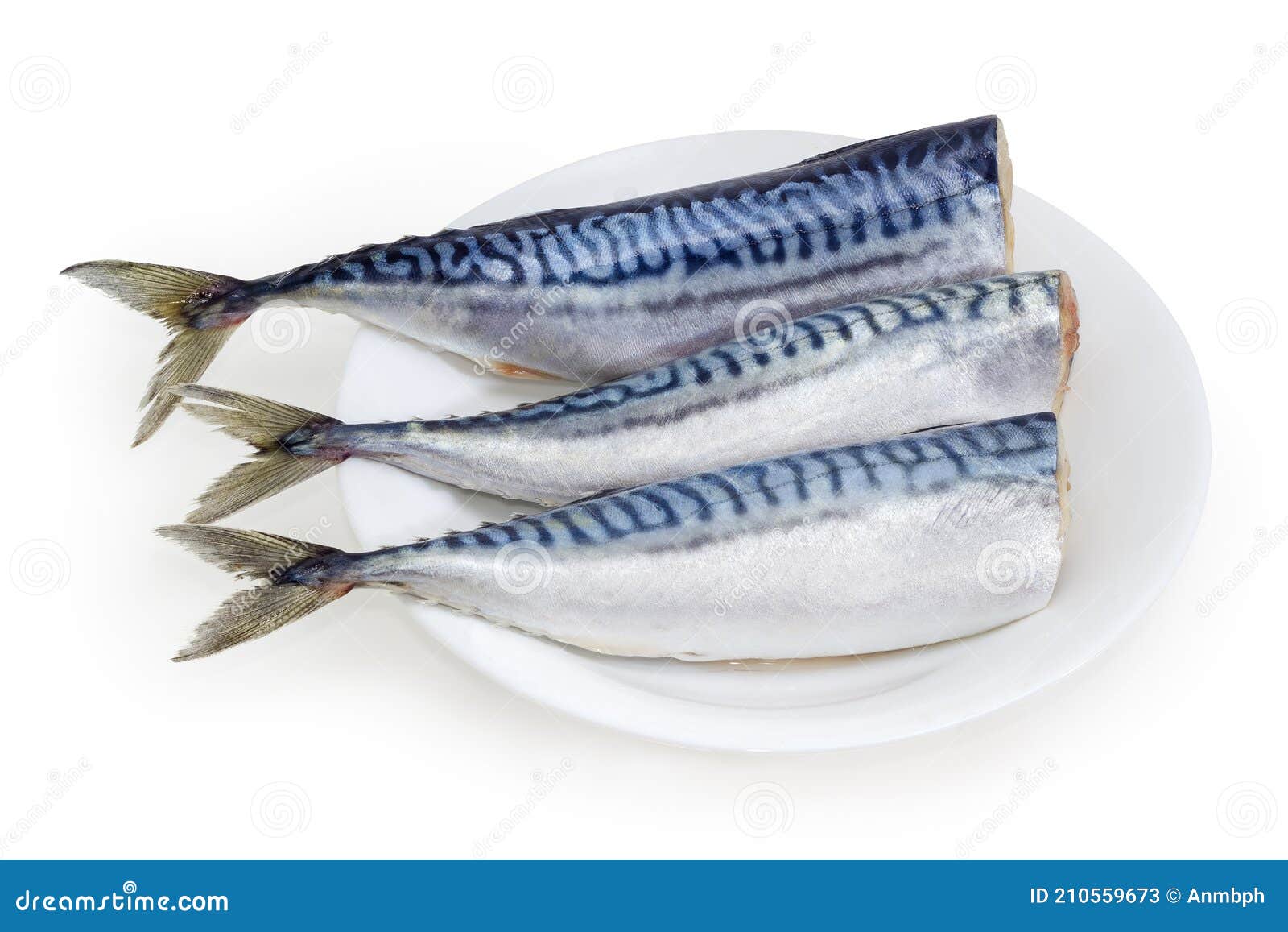 Pickled Mackerel without Heads on Dish on a White Background Stock ...